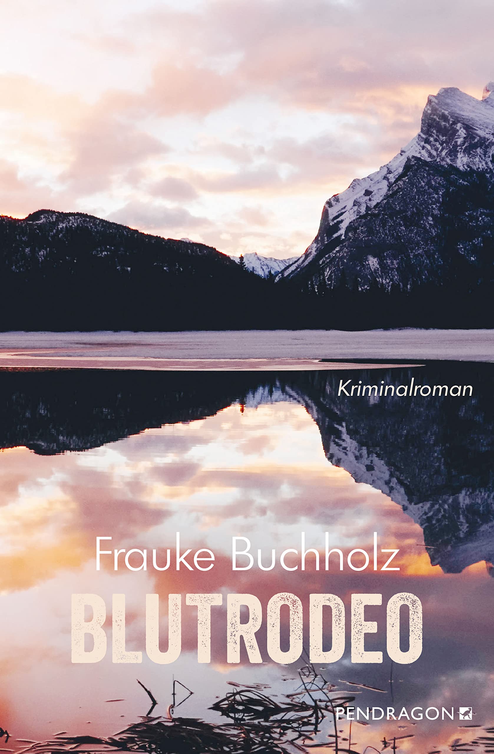 Blutrodeo: Der zweite Fall für Ted Garner by Frauke Buchholz | Goodreads