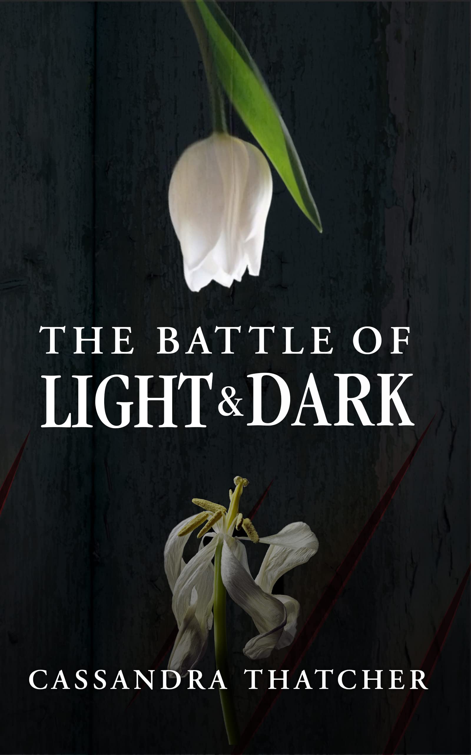 The Battle of Light and Dark by Cassandra Thatcher | Goodreads