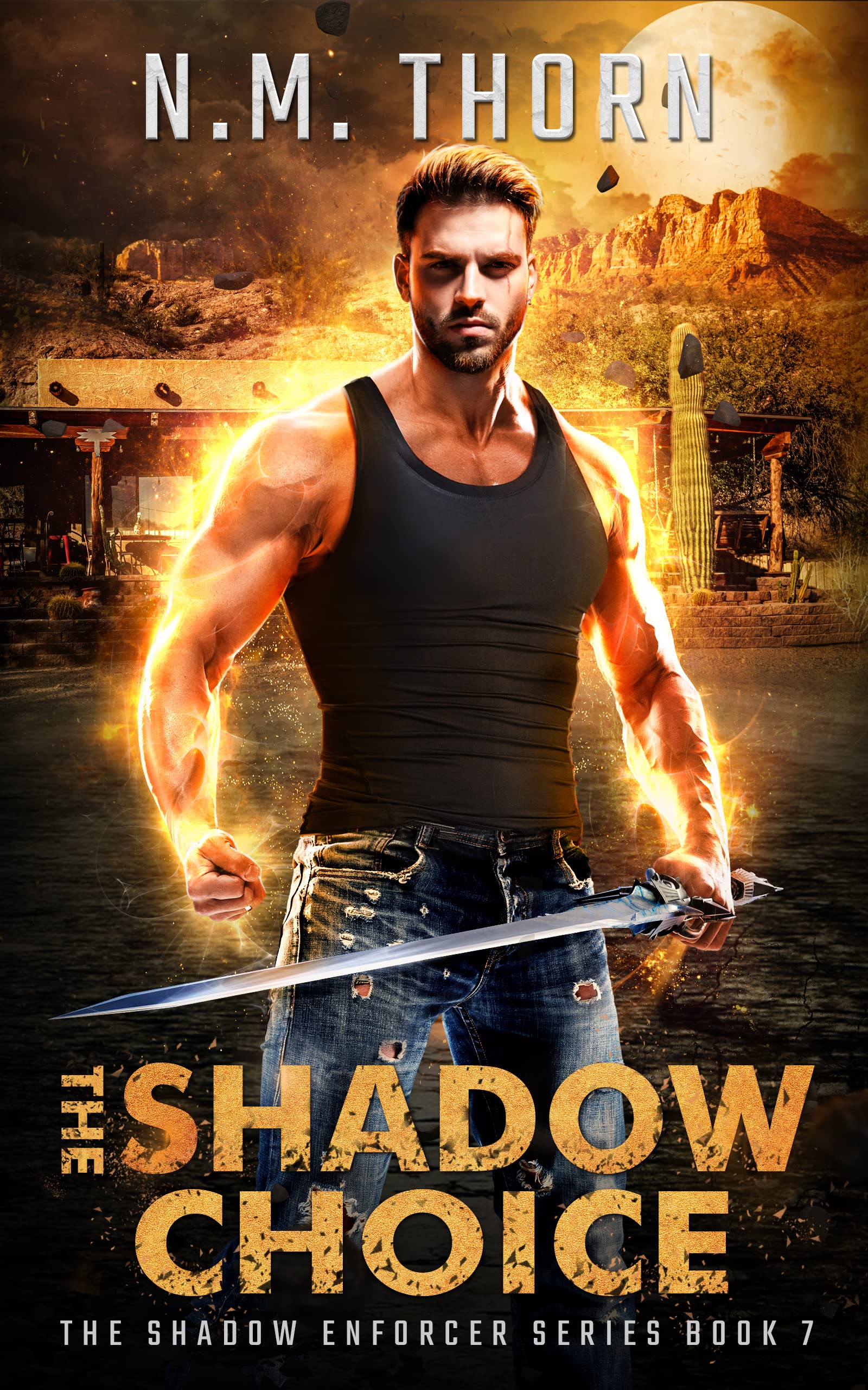 The Shadow Choice (The Shadow Enforcer, #7) by N.M. Thorn | Goodreads