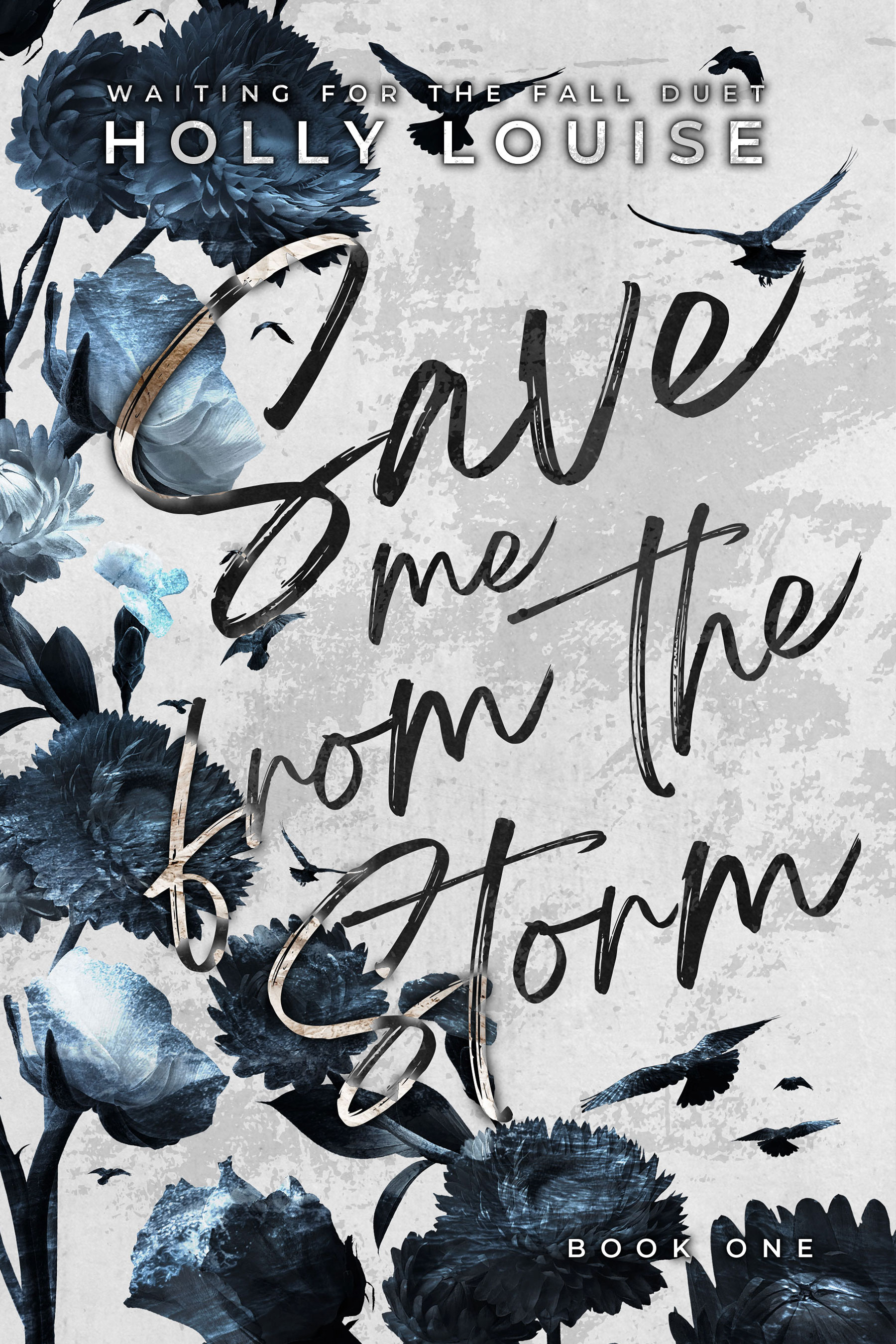Save Me From The Storm (Waiting For The Fall Duet #1) by Holly Louise ...