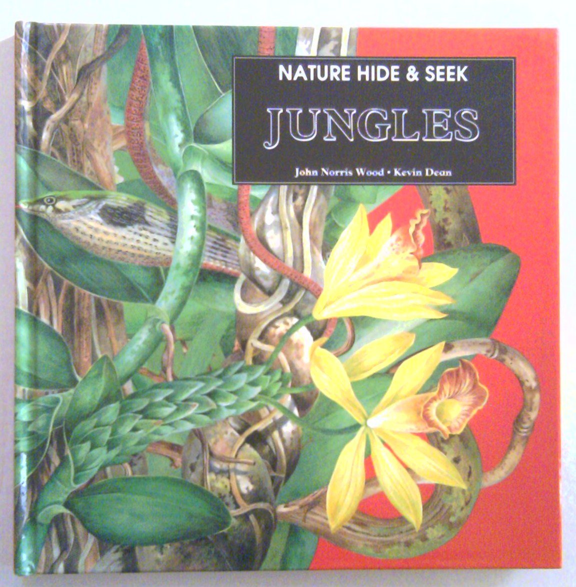 Nature hide & seek by John Norris Wood | Goodreads