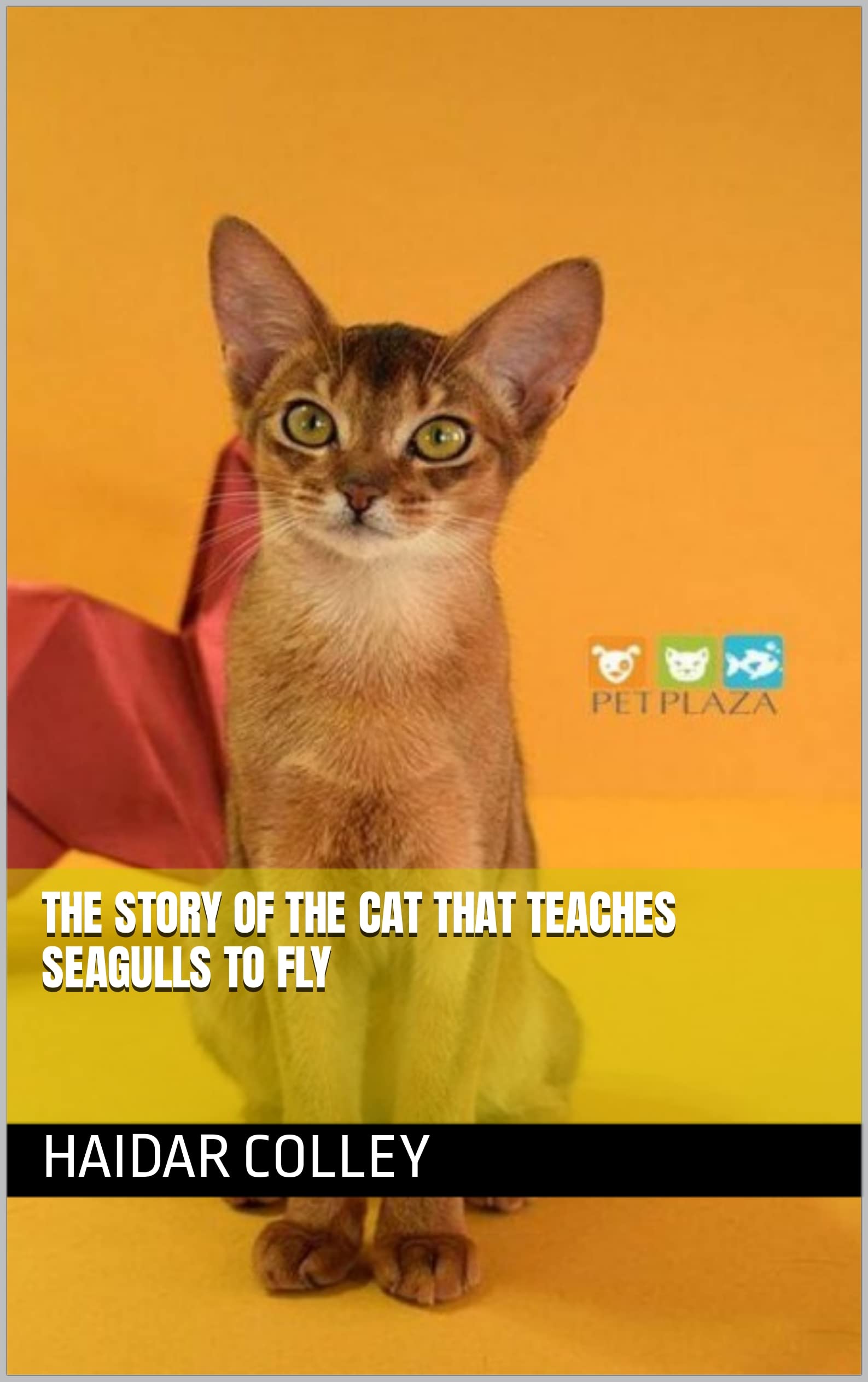 The Story of the Cat that Teaches Seagulls to Fly by Haidar Colley ...