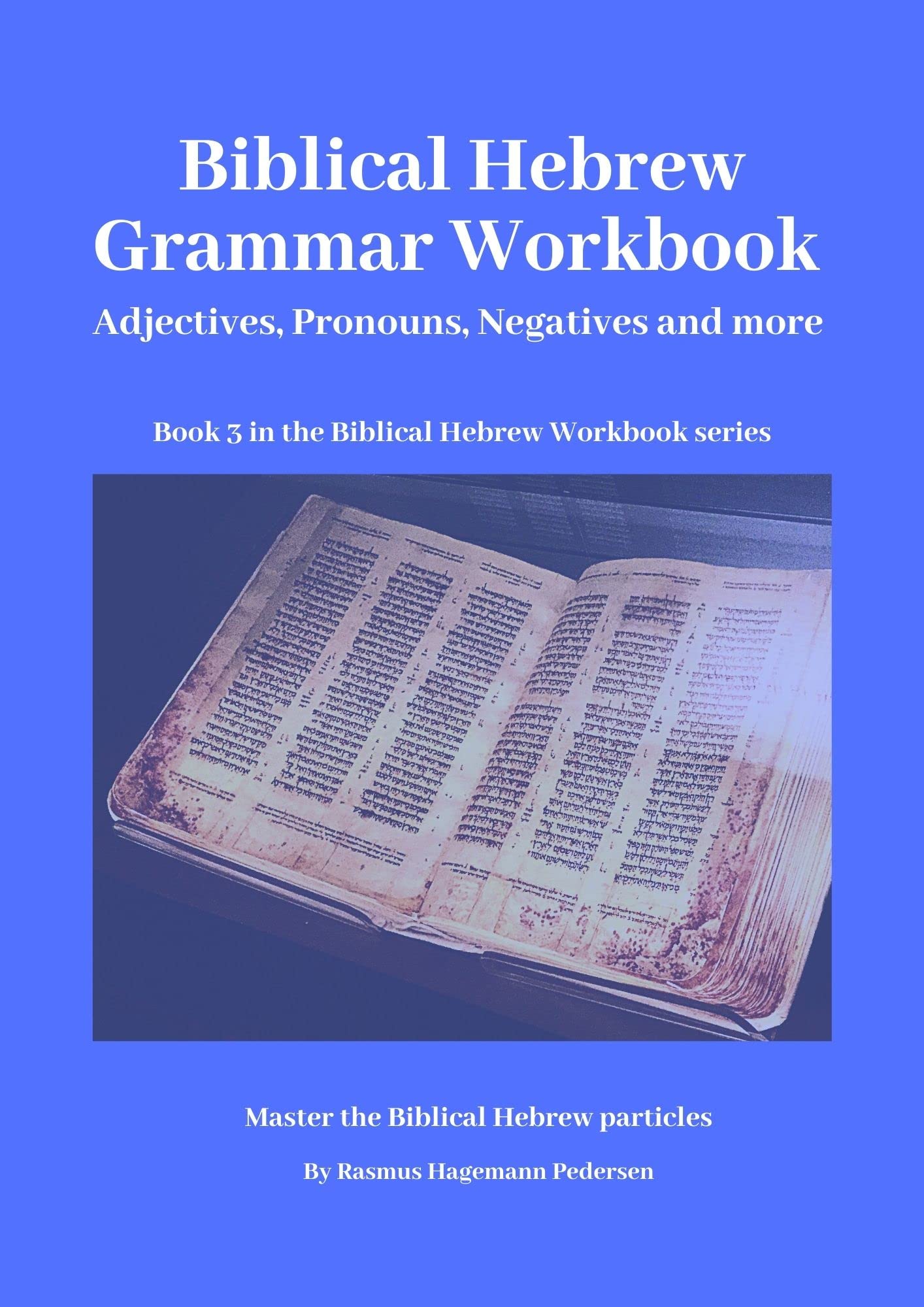 Biblical Hebrew Grammar Workbook: Adjectives, Pronouns, Negatives and ...