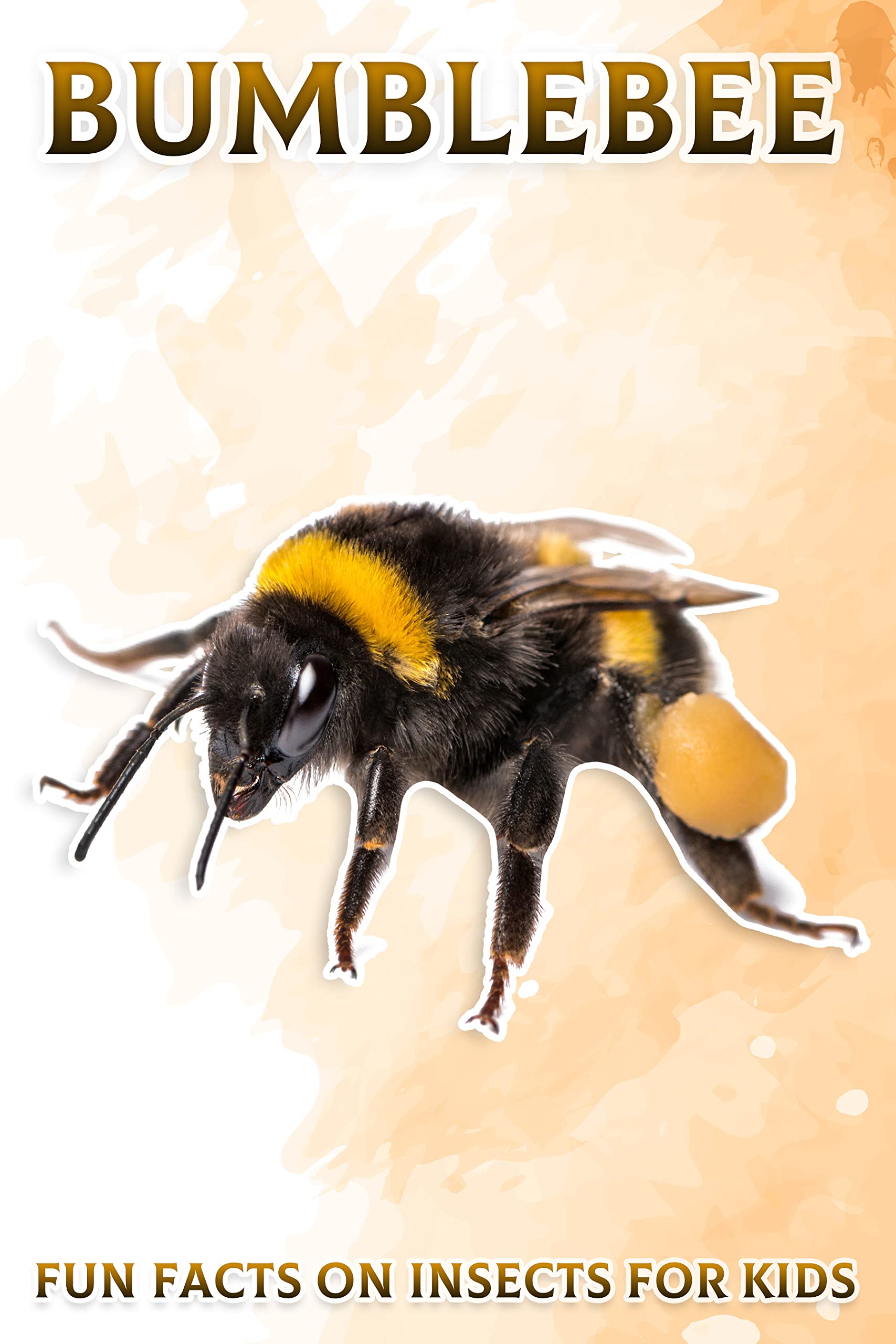 BumbleBee: Fun Facts on Insects for Kids #17 by Michelle Hawkins ...