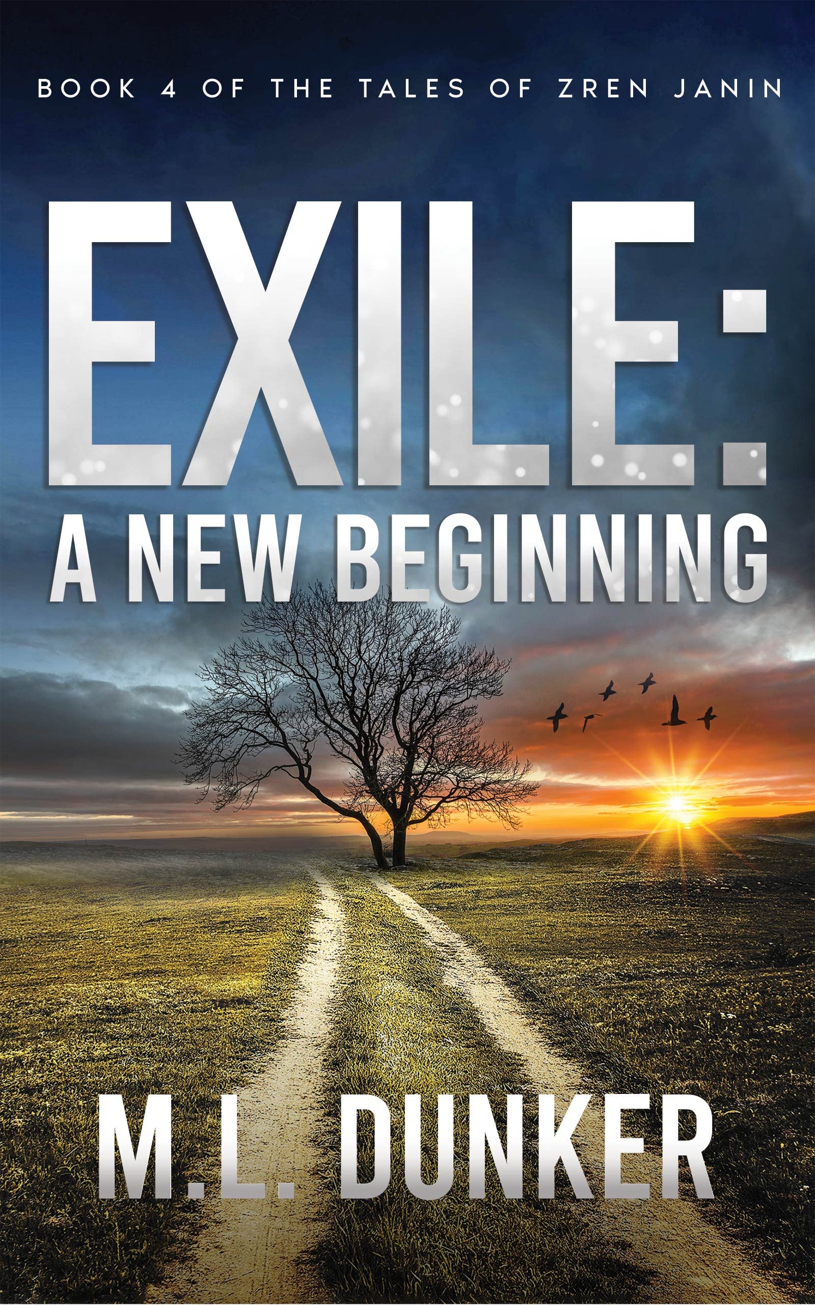 Exile: A New Beginning: Book 4 of The Tales of Zren Janin by M.L ...