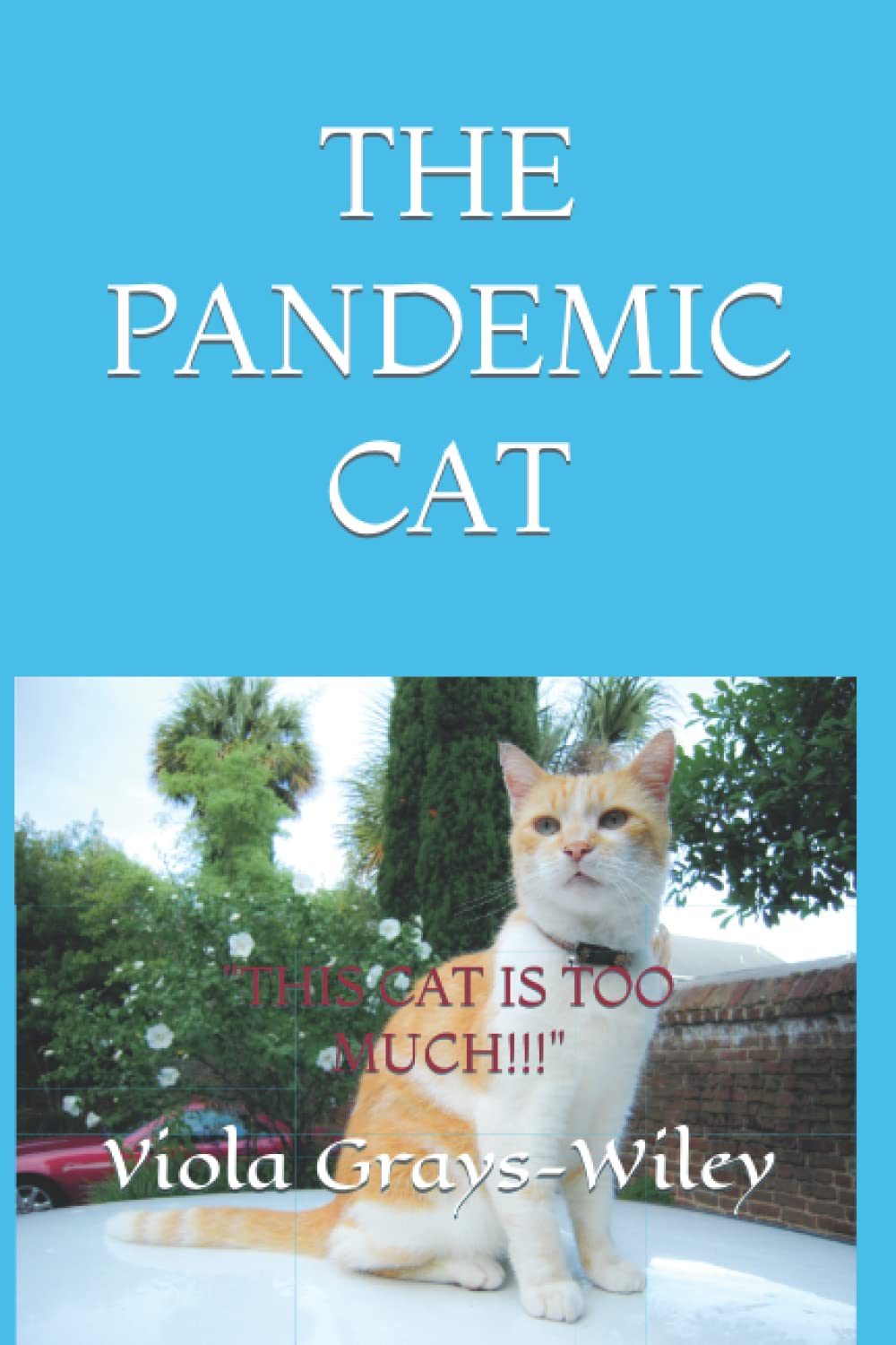 THE PANDEMIC CAT ( Academic Vocabulary Grades 2-4): ""THIS CAT IS TOO ...