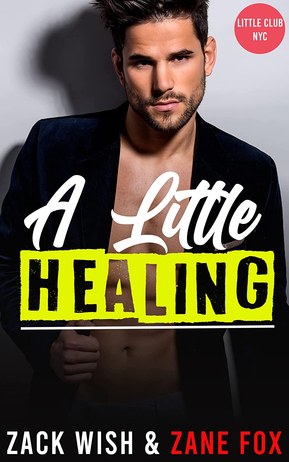 A Little Healing (Little Club NYC #1) by Zack Wish | Goodreads