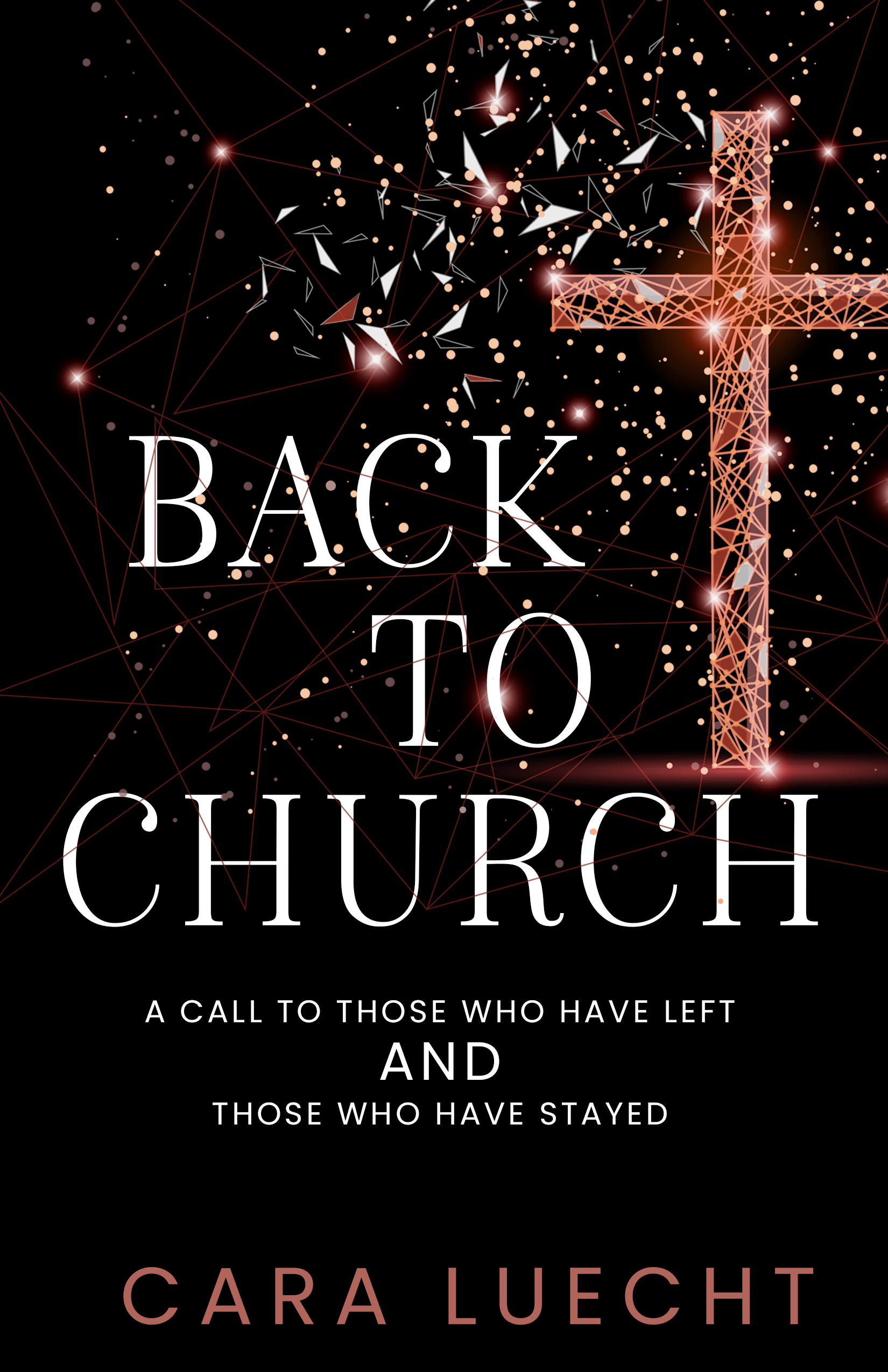 Back to Church: A Call to Those Who Have Left and Those Who Have Stayed ...