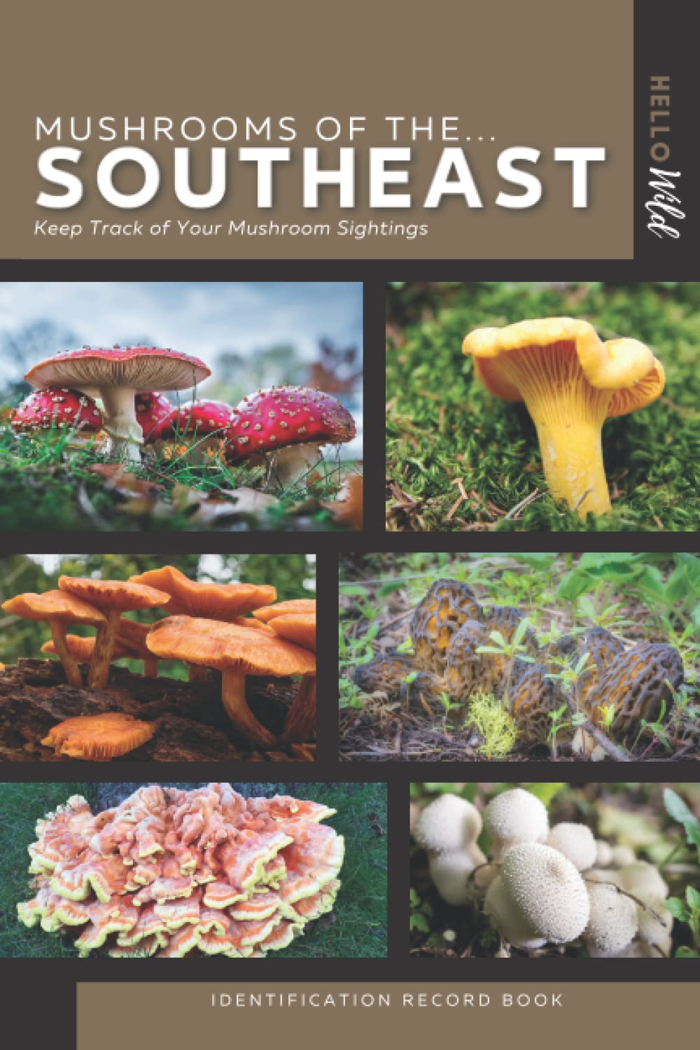 Mushrooms of the Southeast Identification Record Book: A Simple Take ...