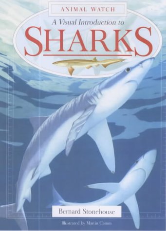 A Visual Introduction to Sharks by Bernard Stonehouse~Martin Camm ...