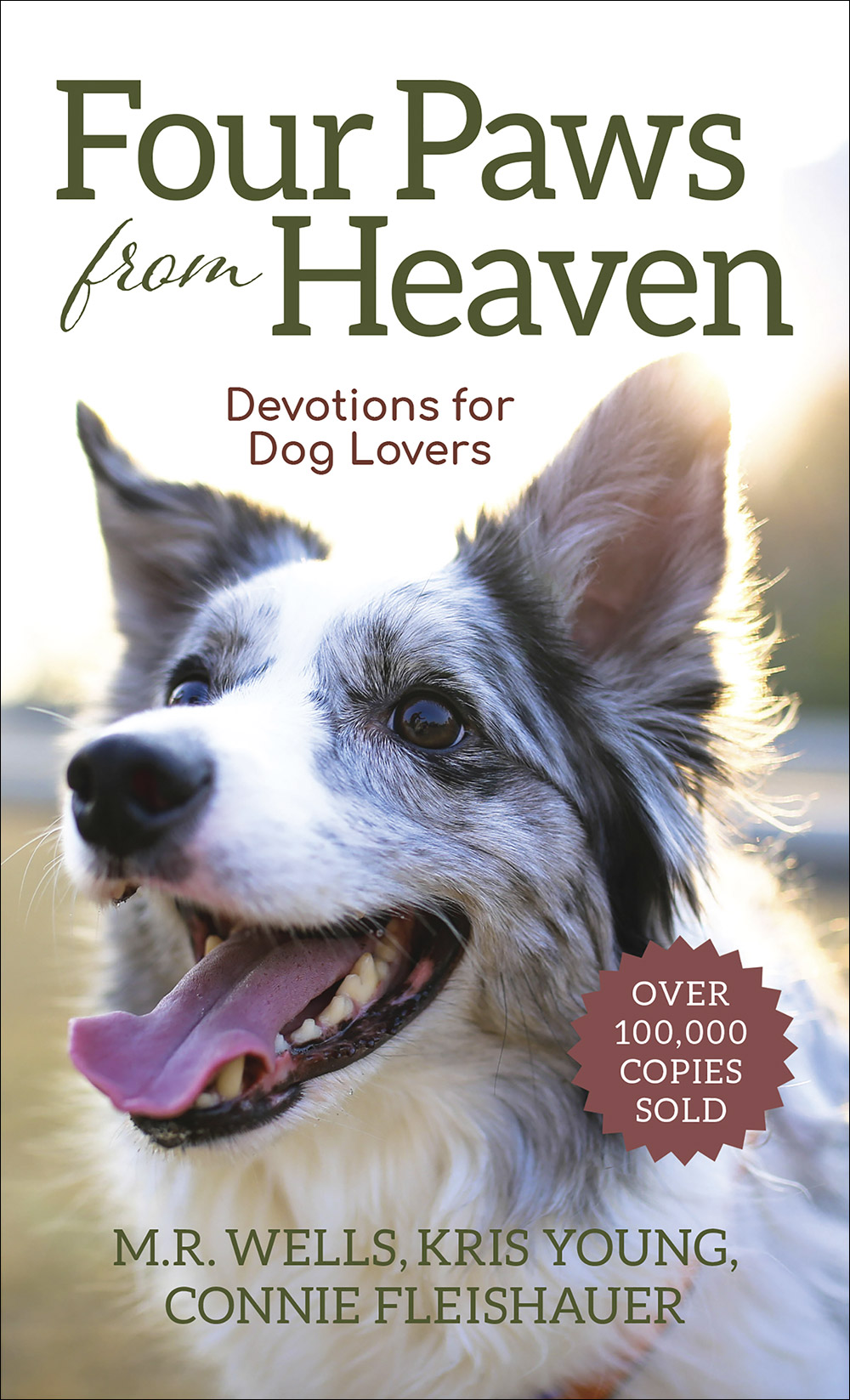 Four Paws from Heaven: Devotions for Dog Lovers by M.R. Wells | Goodreads