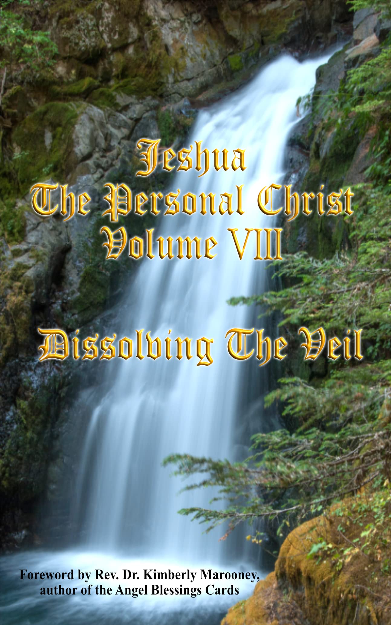 Jeshua The Personal Christ Volume VIII: Dissolving The Veil by Judith ...
