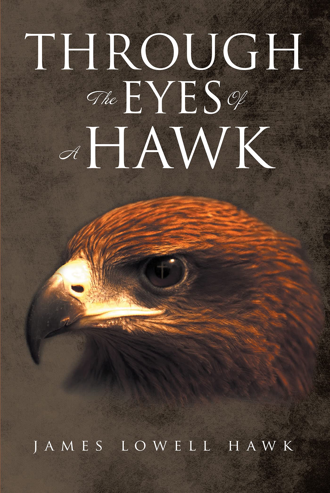 Through The Eyes Of A Hawk by James Lowell Hawk | Goodreads