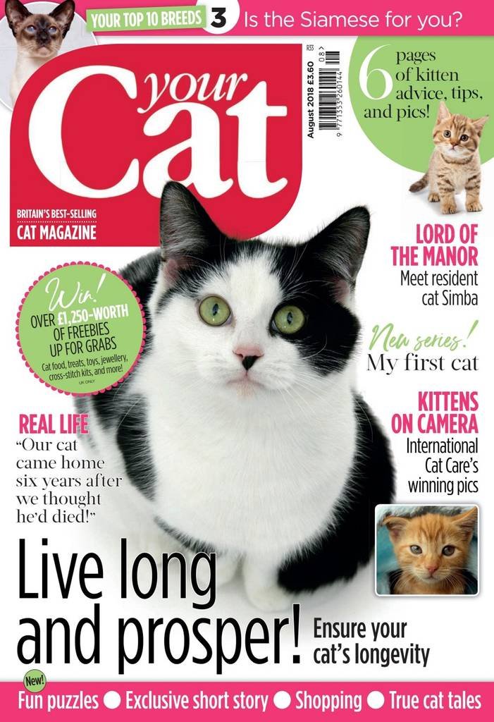 Your Cat by Warners Group | Goodreads