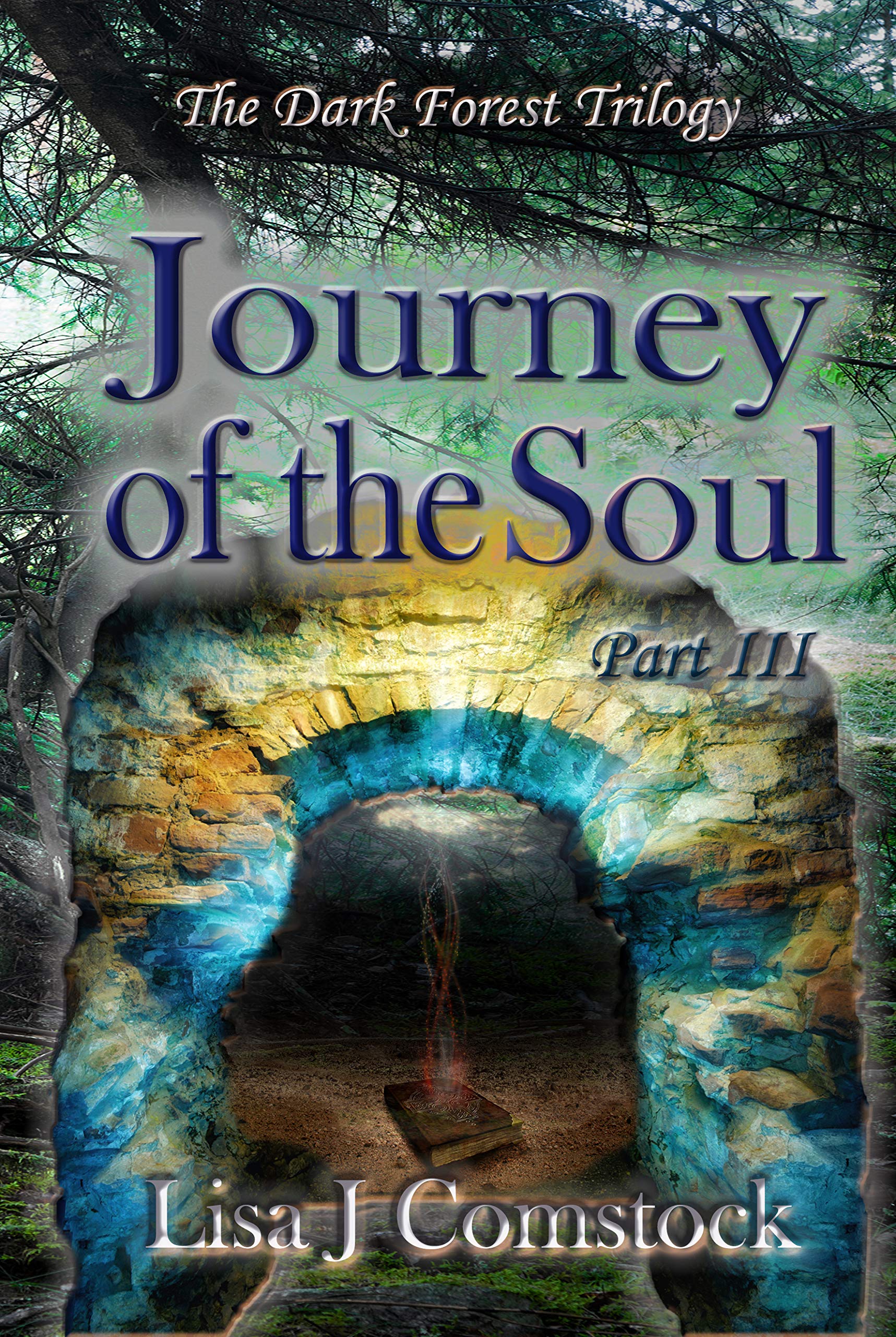 Journey of the Soul (Dark Forest Trilogy Book 3) by Lisa J Comstock ...