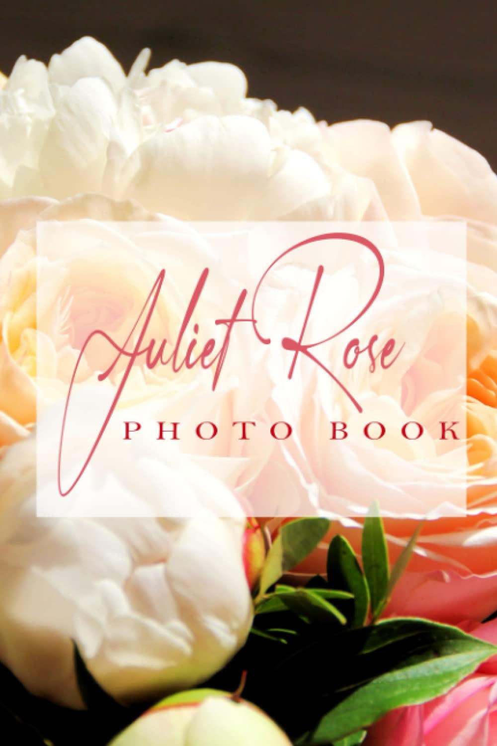 Juliet Rose Photo Book: The Most Expensive Flower Colorful Photograph ...