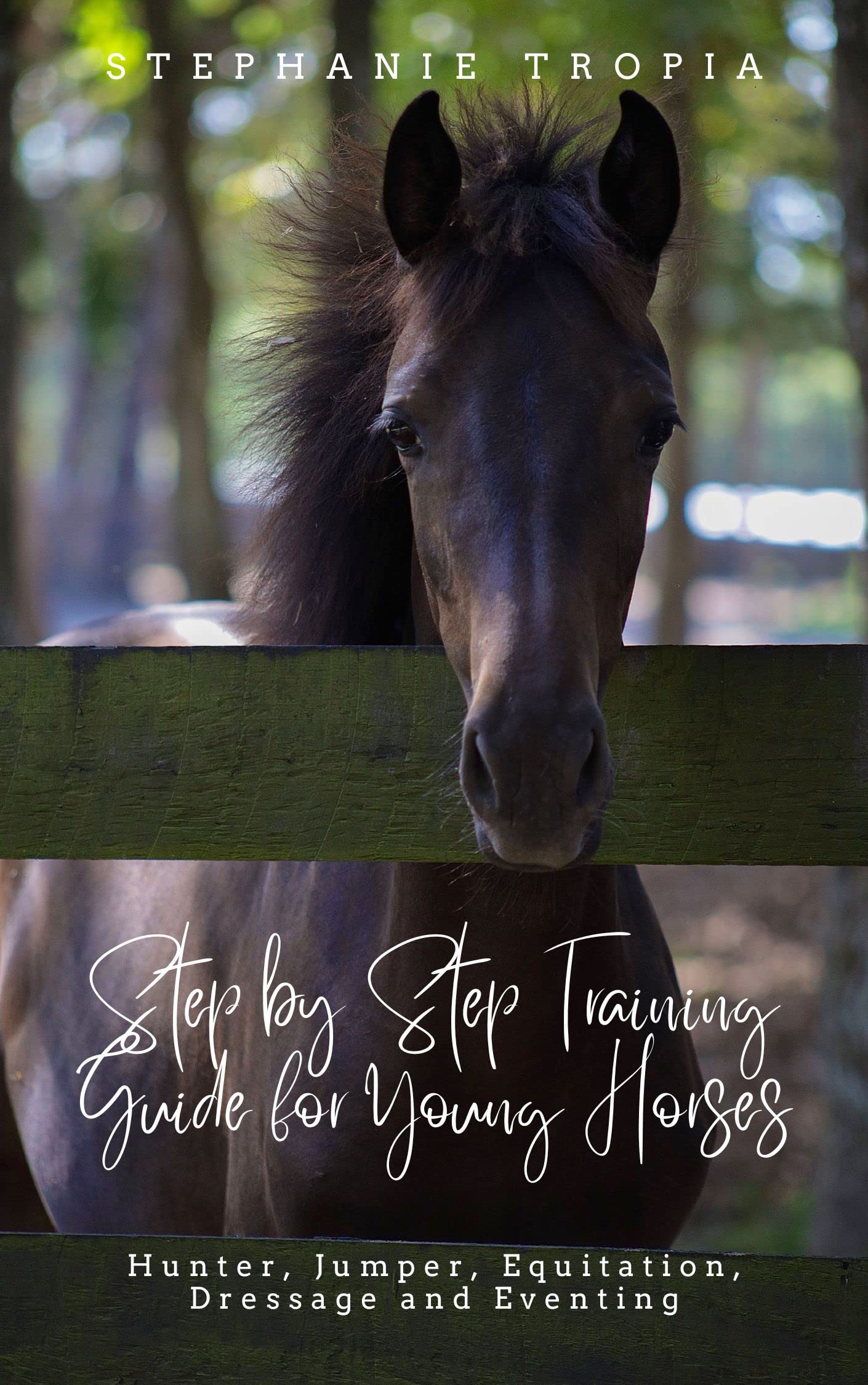 Step by Step Training Guide for Young Horses: Are you planning to ...