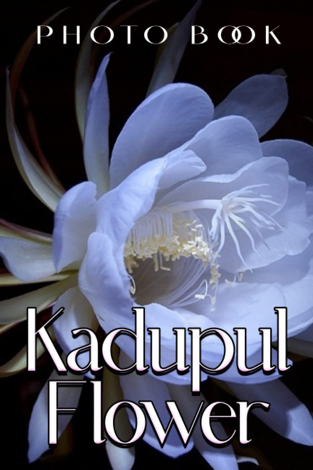 Kadupul Flower Photo Book: Flowers Colorful Photograph Album For All ...
