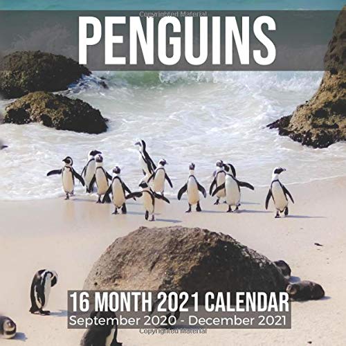 Penguins 16 Month 2021 Calendar September 2020-December 2021: Penguin ...