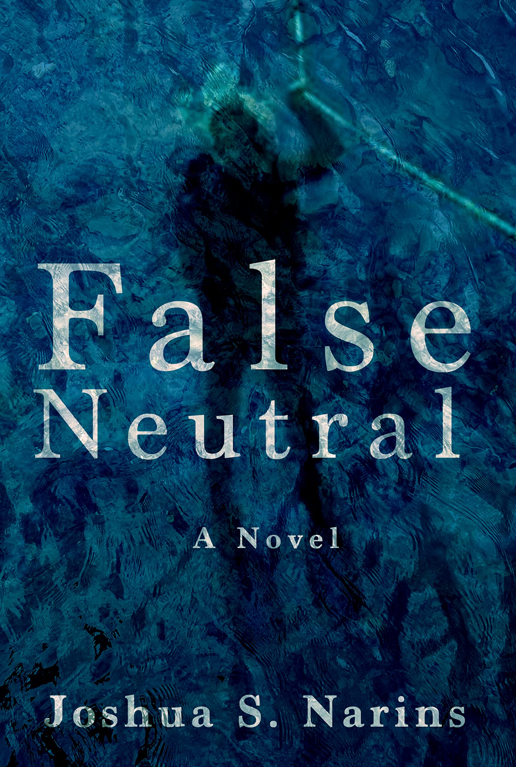 False Neutral by Joshua S. Narins | Goodreads