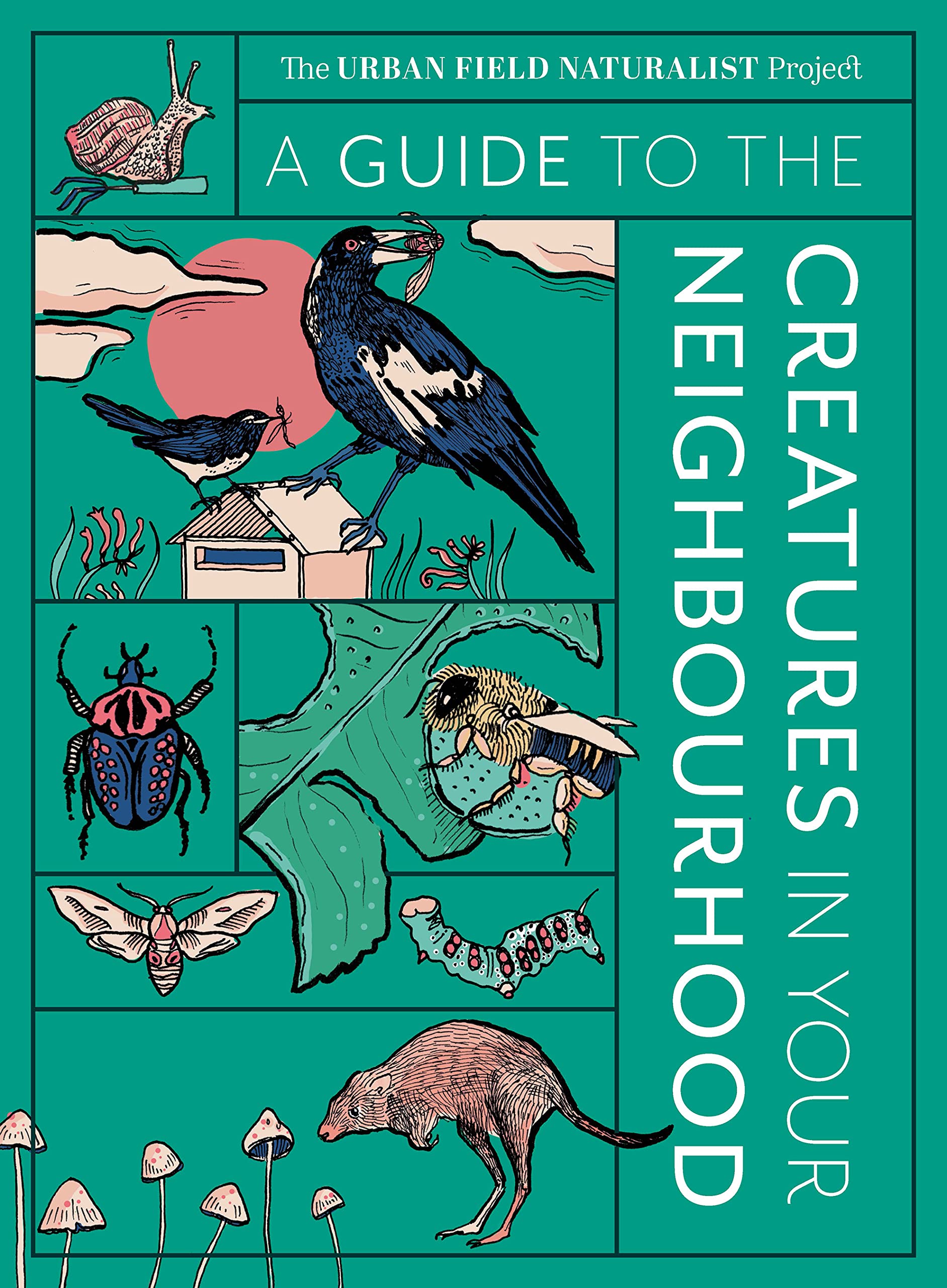 A Guide to the Creatures in Your Neighbourhood by The Urban Field ...