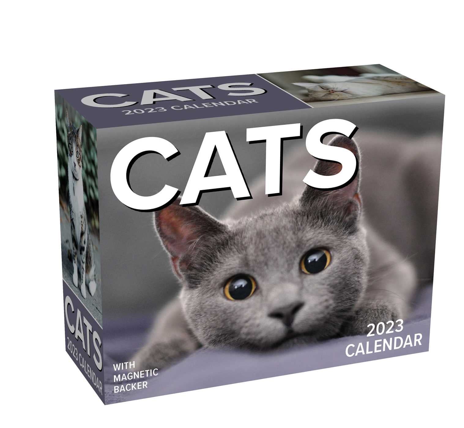Cats 2023 Mini Day-to-Day Calendar by Andrews McMeel Publishing | Goodreads