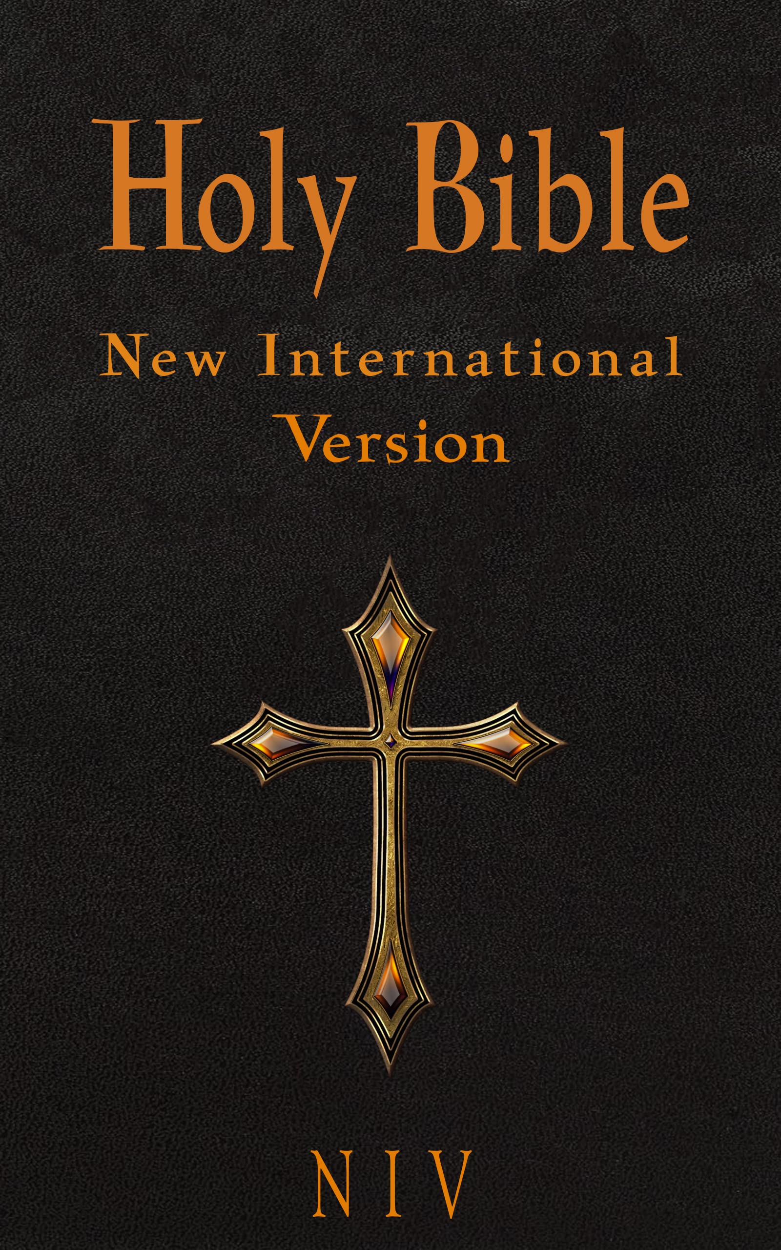 HOLY BIBLE New International Version (NIV): Edition 2022 by Anonymous ...