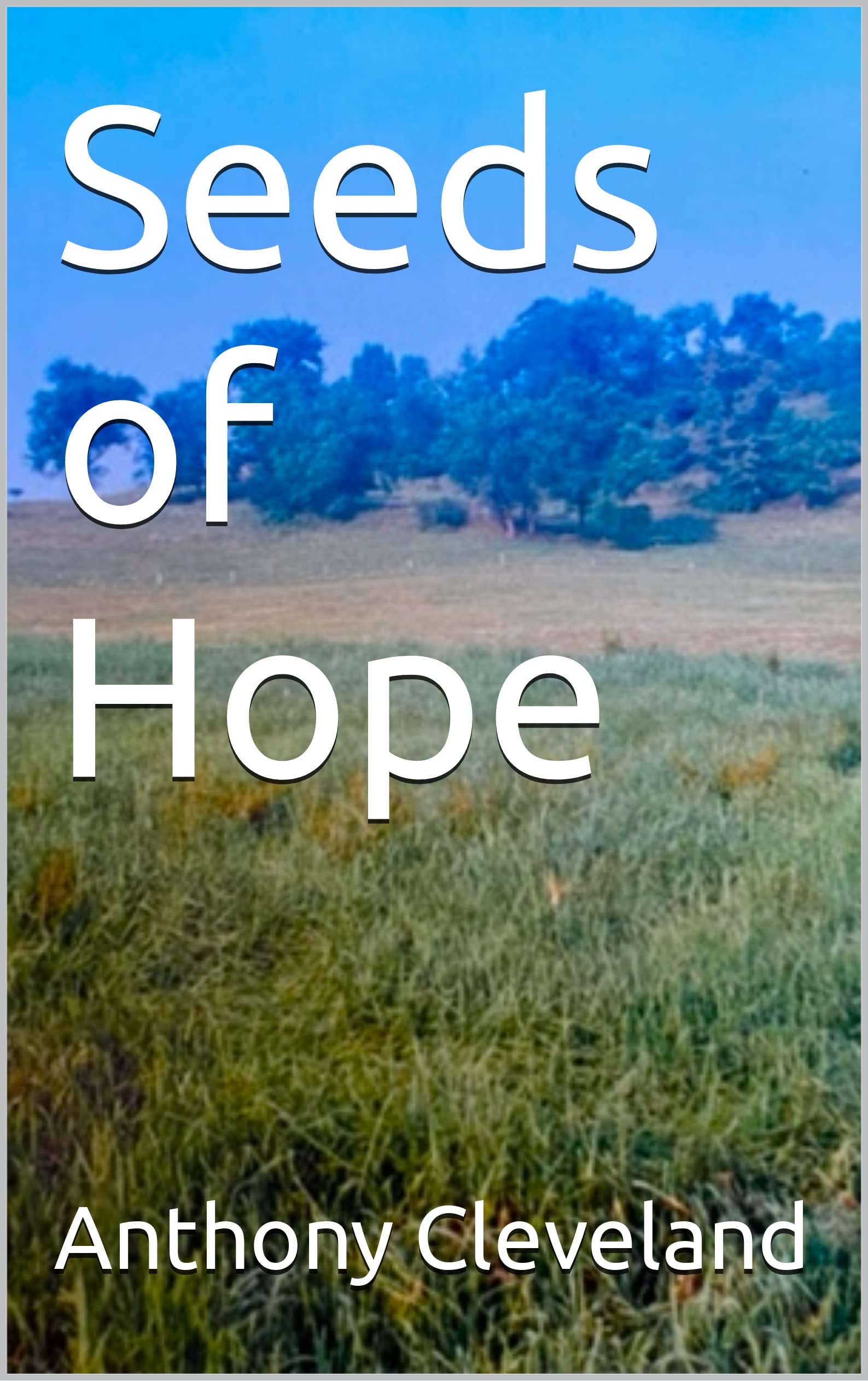 Seeds of Hope (Lighthouse Historical Fiction) by Anthony Cleveland ...
