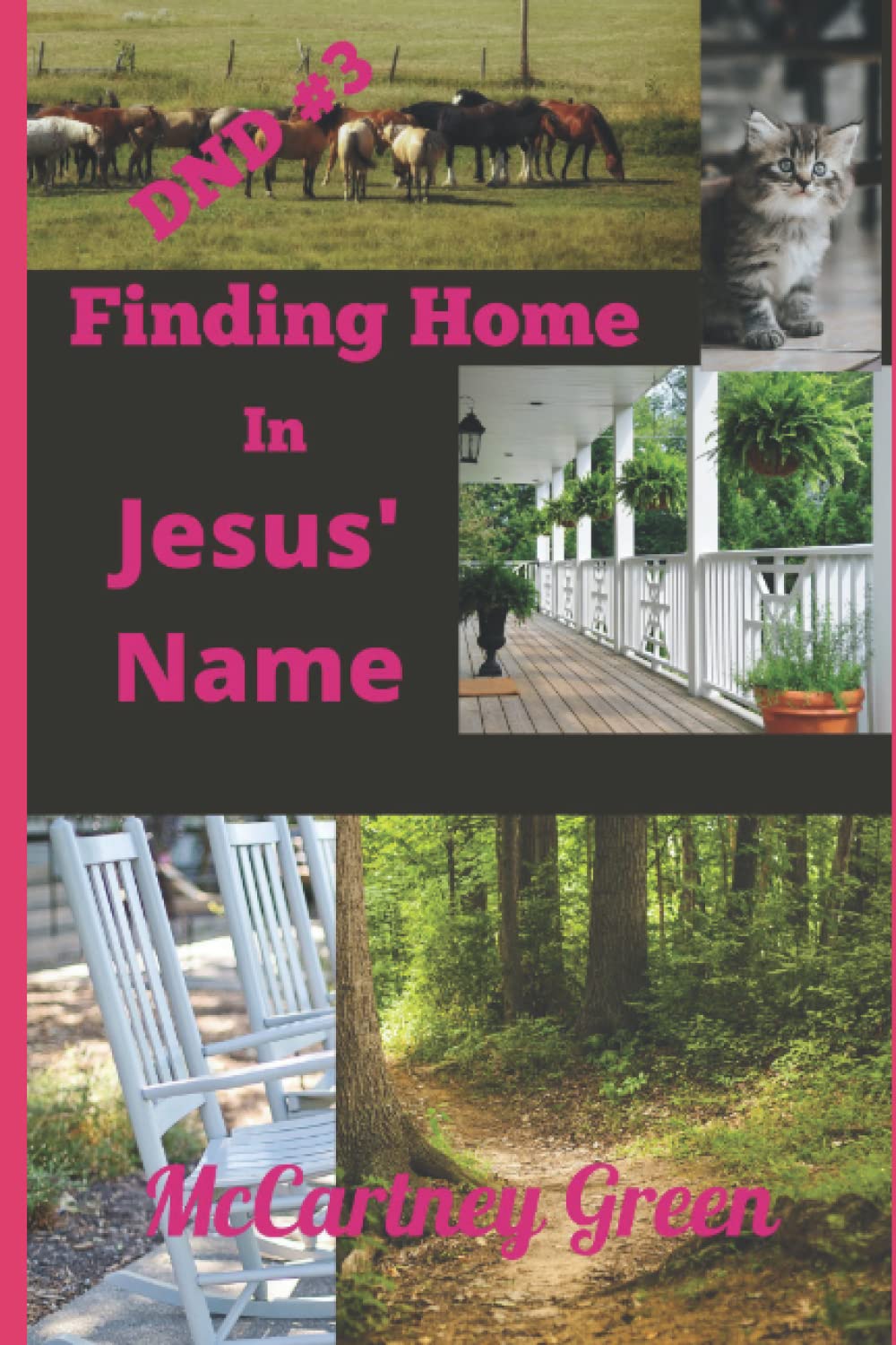 DND #3 Finding Home In Jesus' Name (In Jesus' Name Series; DND by ...