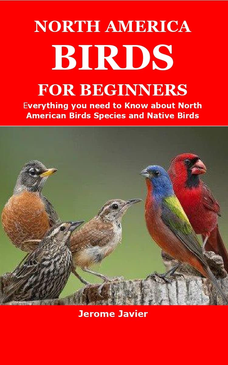 NORTH AMERICA BIRDS FOR BEGINNERS: Everything you need to Know about ...