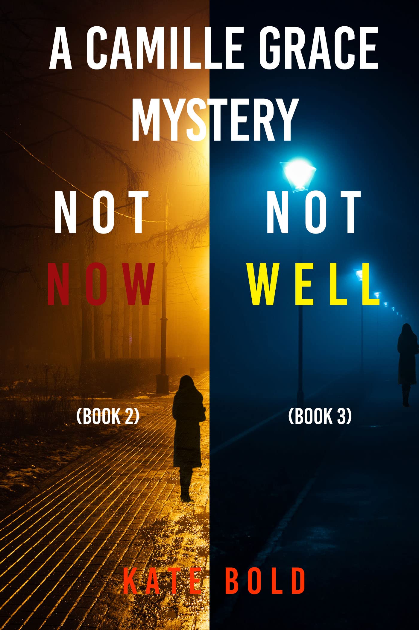 Camille Grace FBI Suspense Thriller Bundle: Not Now (#2) and Not Well by Kate Bold | Goodreads