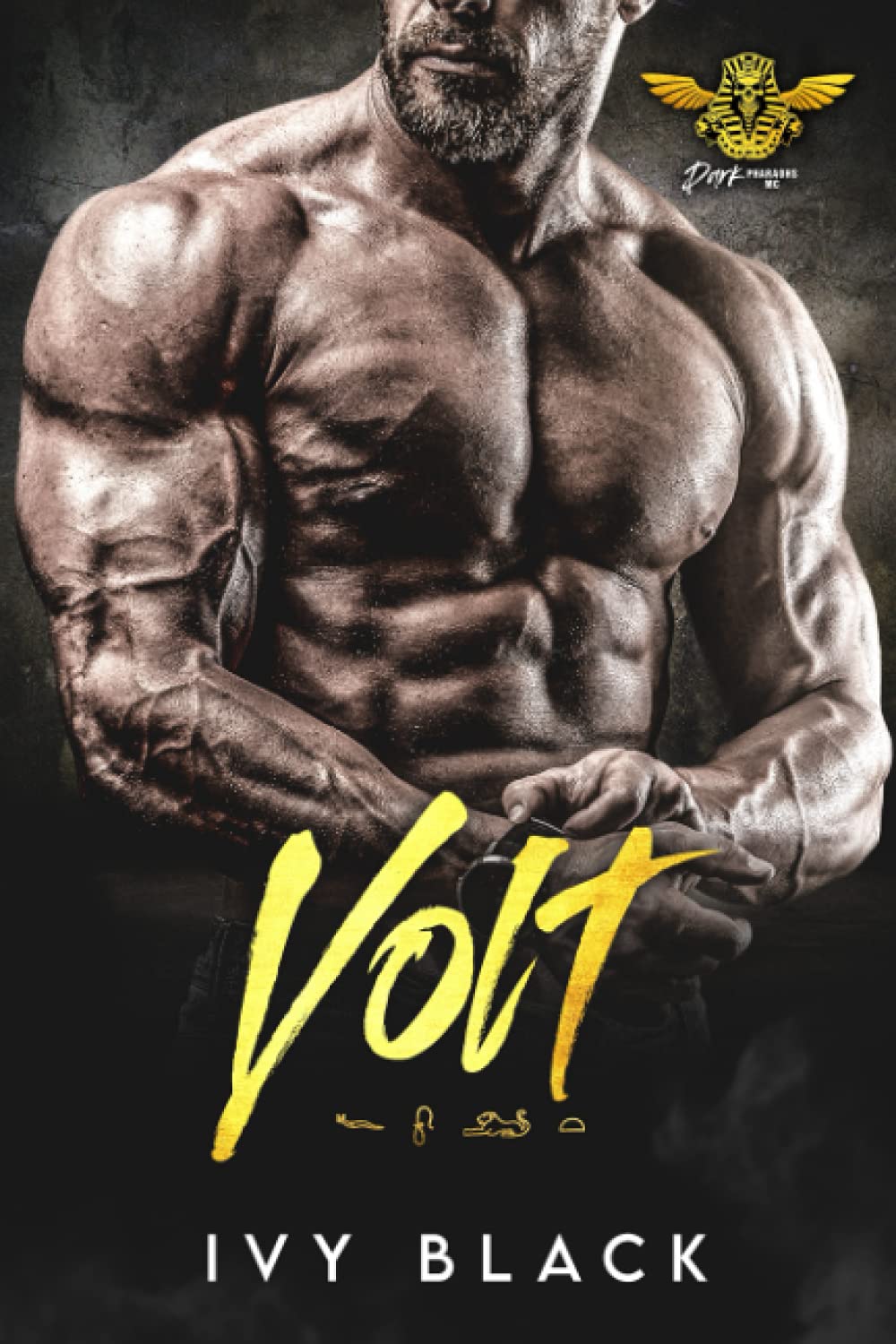Volt (Dark Pharaohs Motorcycle Club) by Ivy Black | Goodreads