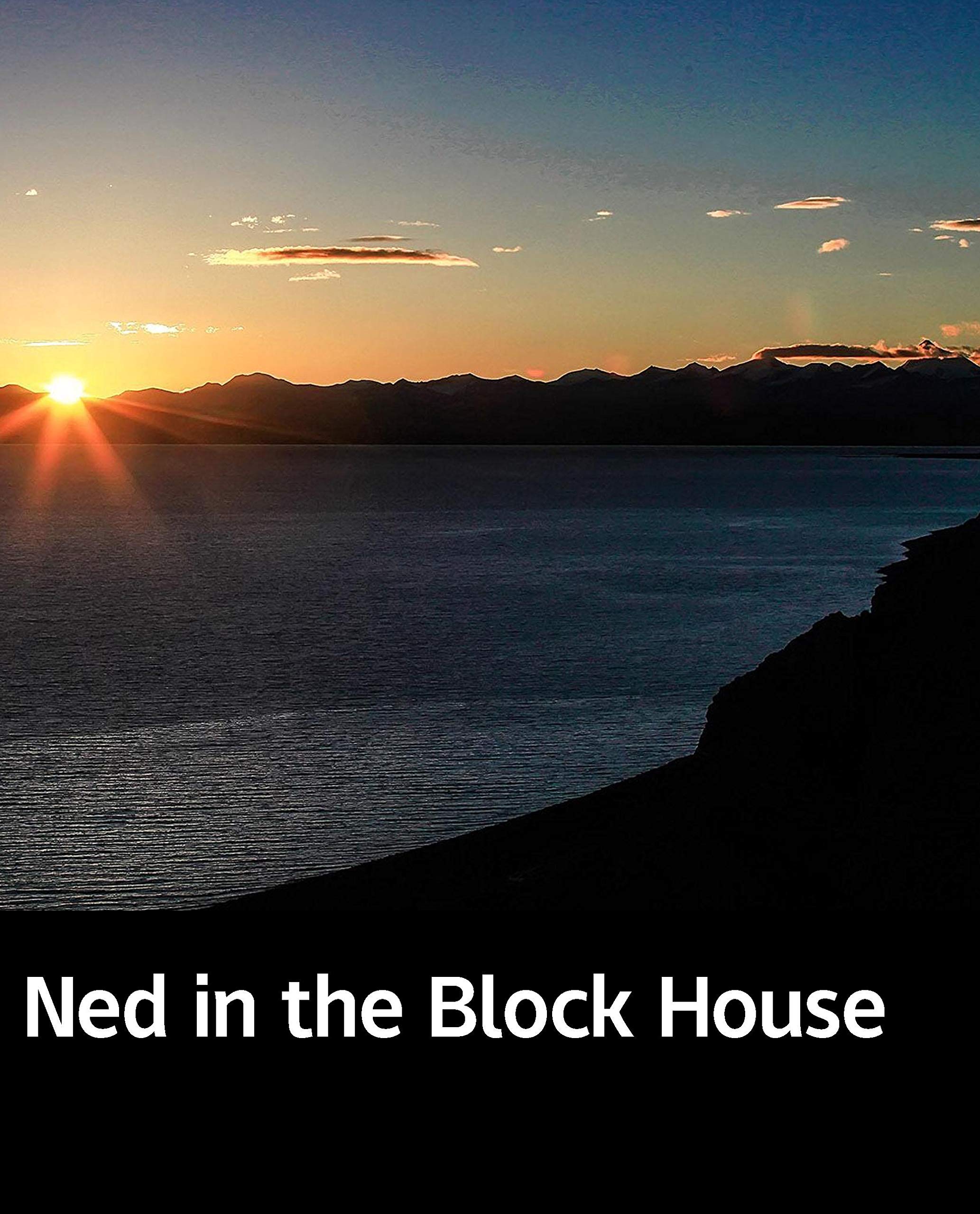 Illustrated Ned in the Block House: 100 classic novels by Warren Holmes ...