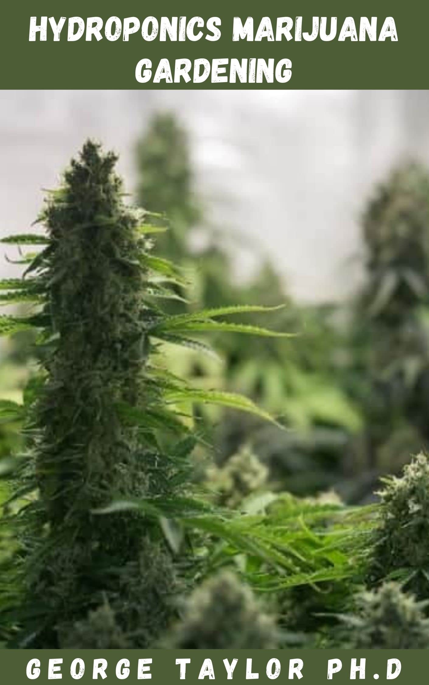 HYDROPONICS MARIJUANA GARDENING : Detailed method of growing hydroponic marijuana gardening ...