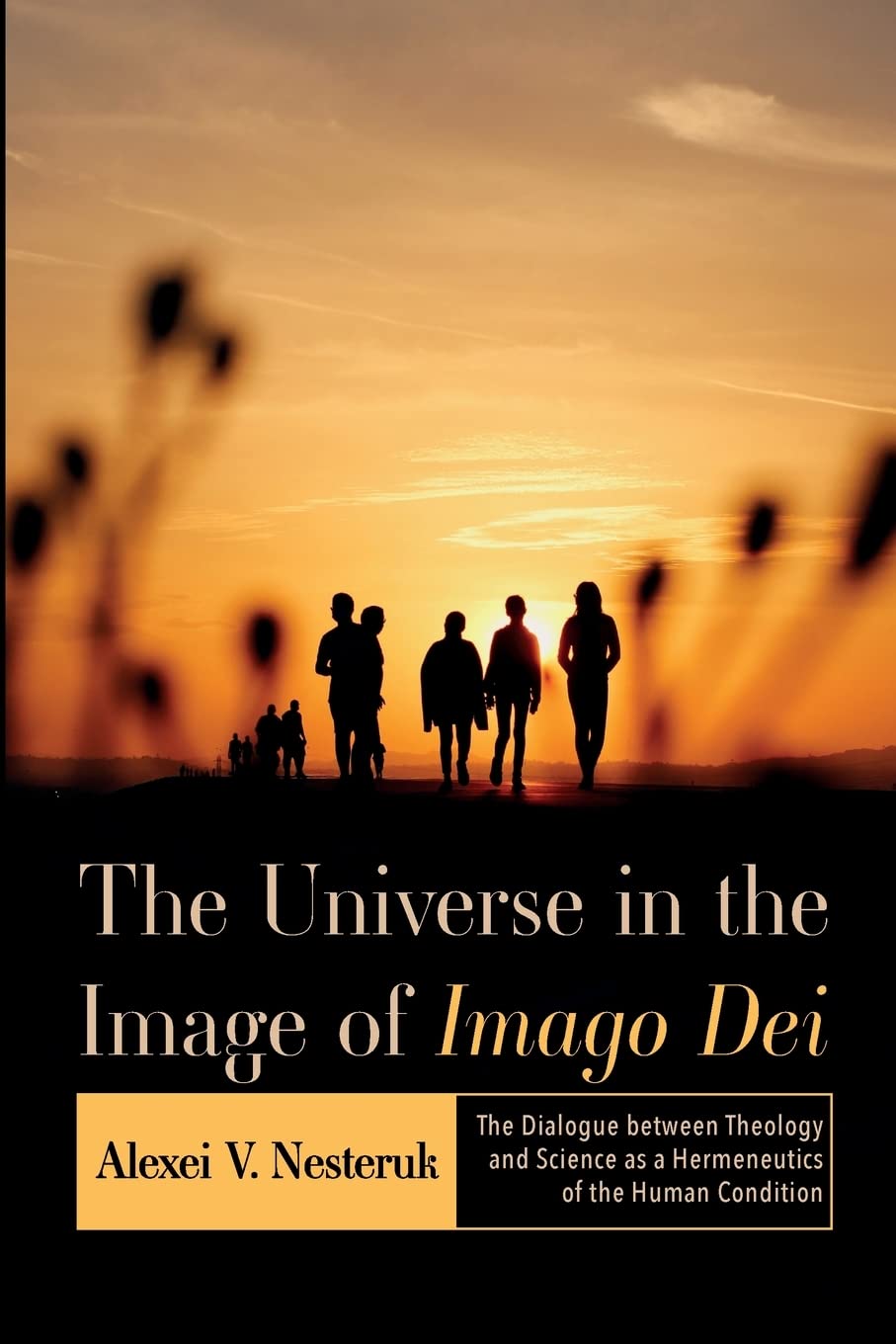 The Universe in the Image of Imago Dei: The Dialogue between Theology ...