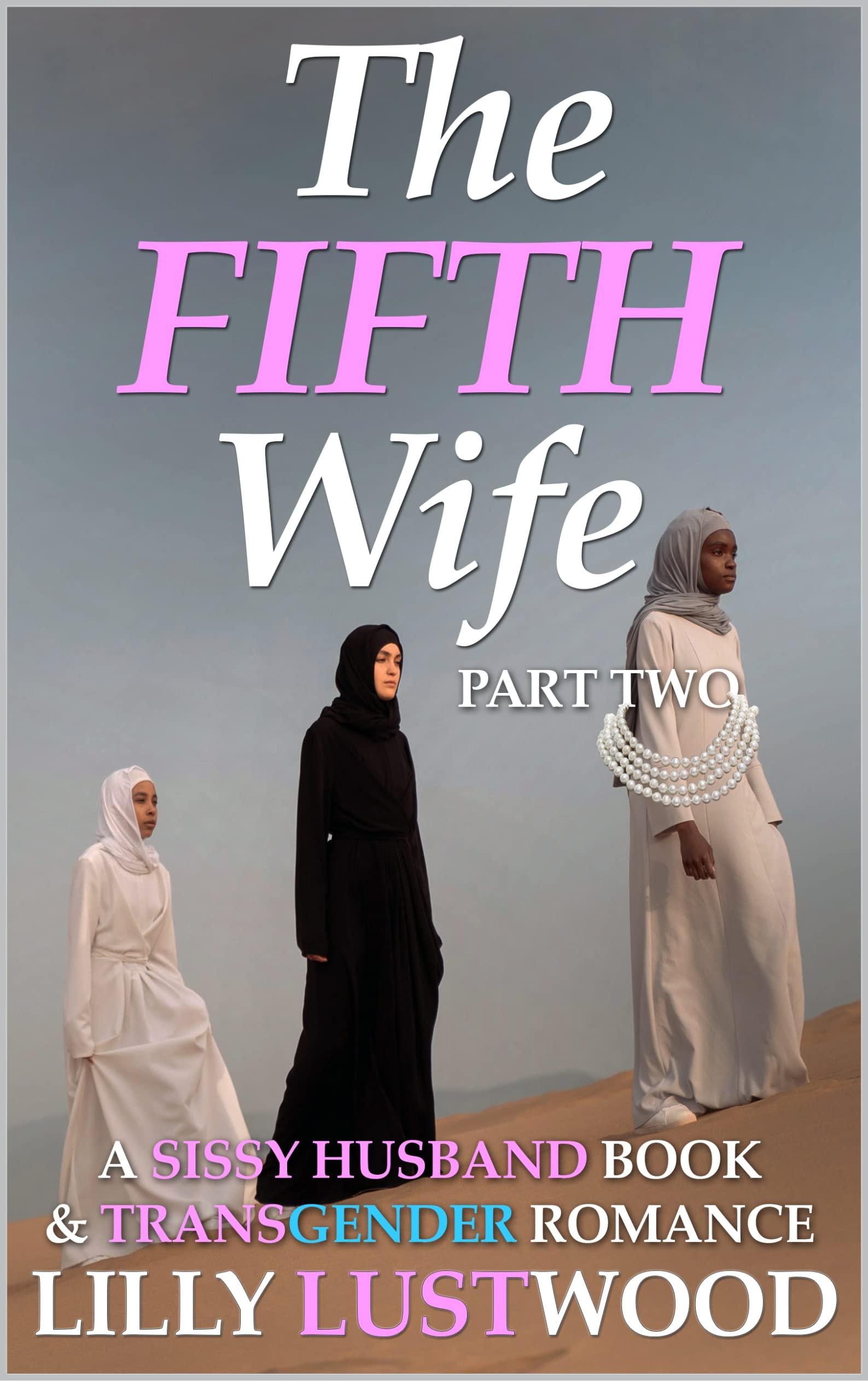 The Fifth Wife Part Two: A Sissy Husband Book and Transgender Romance by Lilly Lustwood | Goodreads