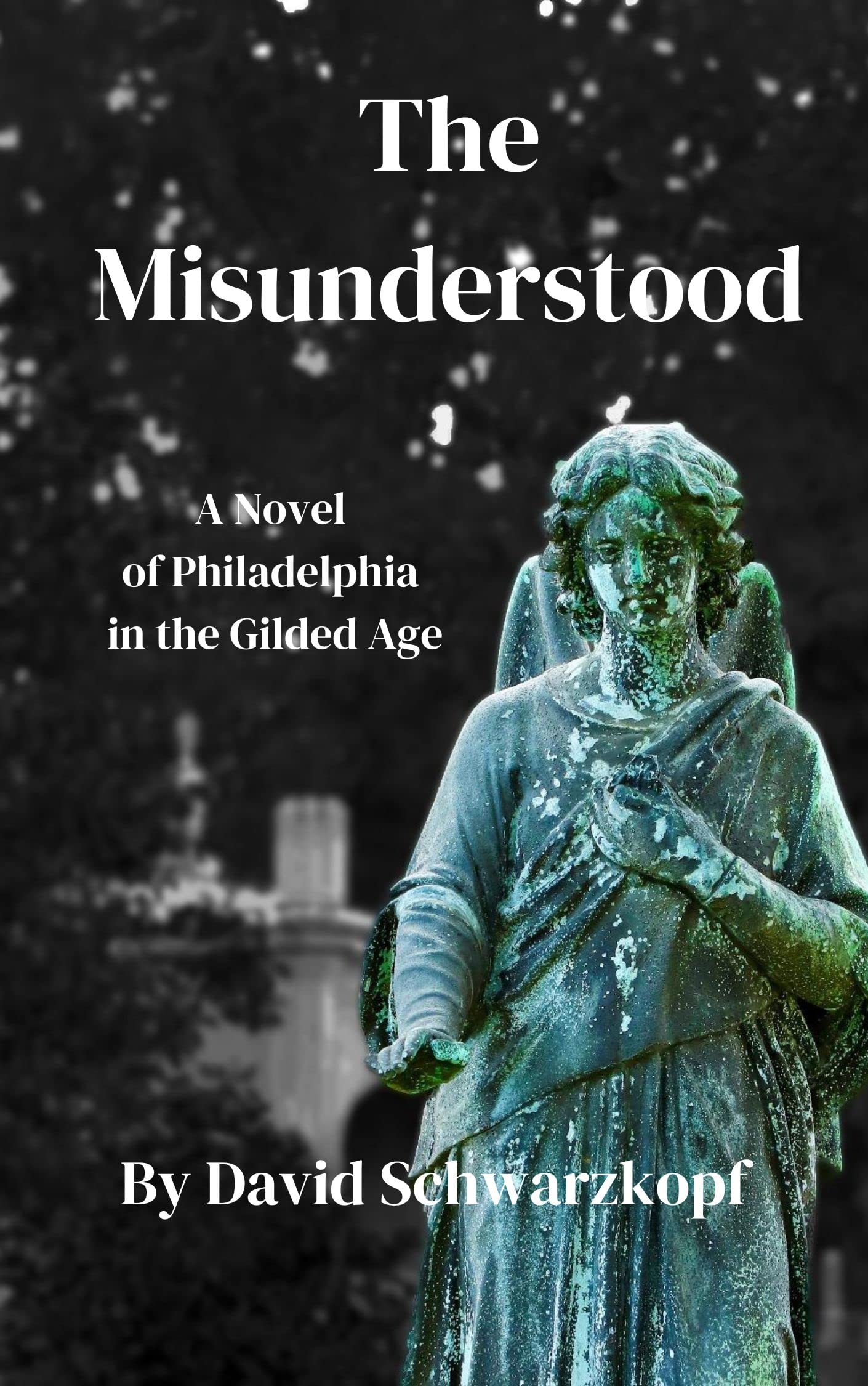 The Misunderstood: A Novel of Philadelphia in the Gilded Age by David ...