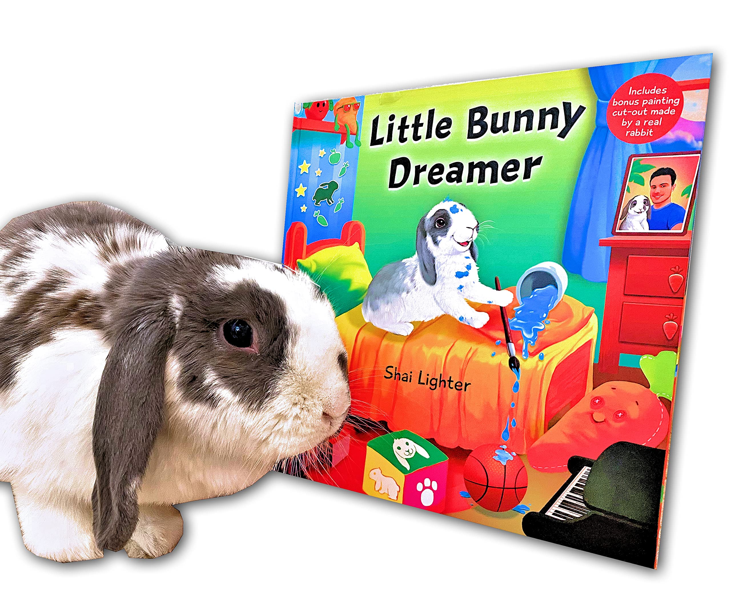 Rhyming Children's Book - Little Bunny Dreamer - Bini the Bunny by Shai ...