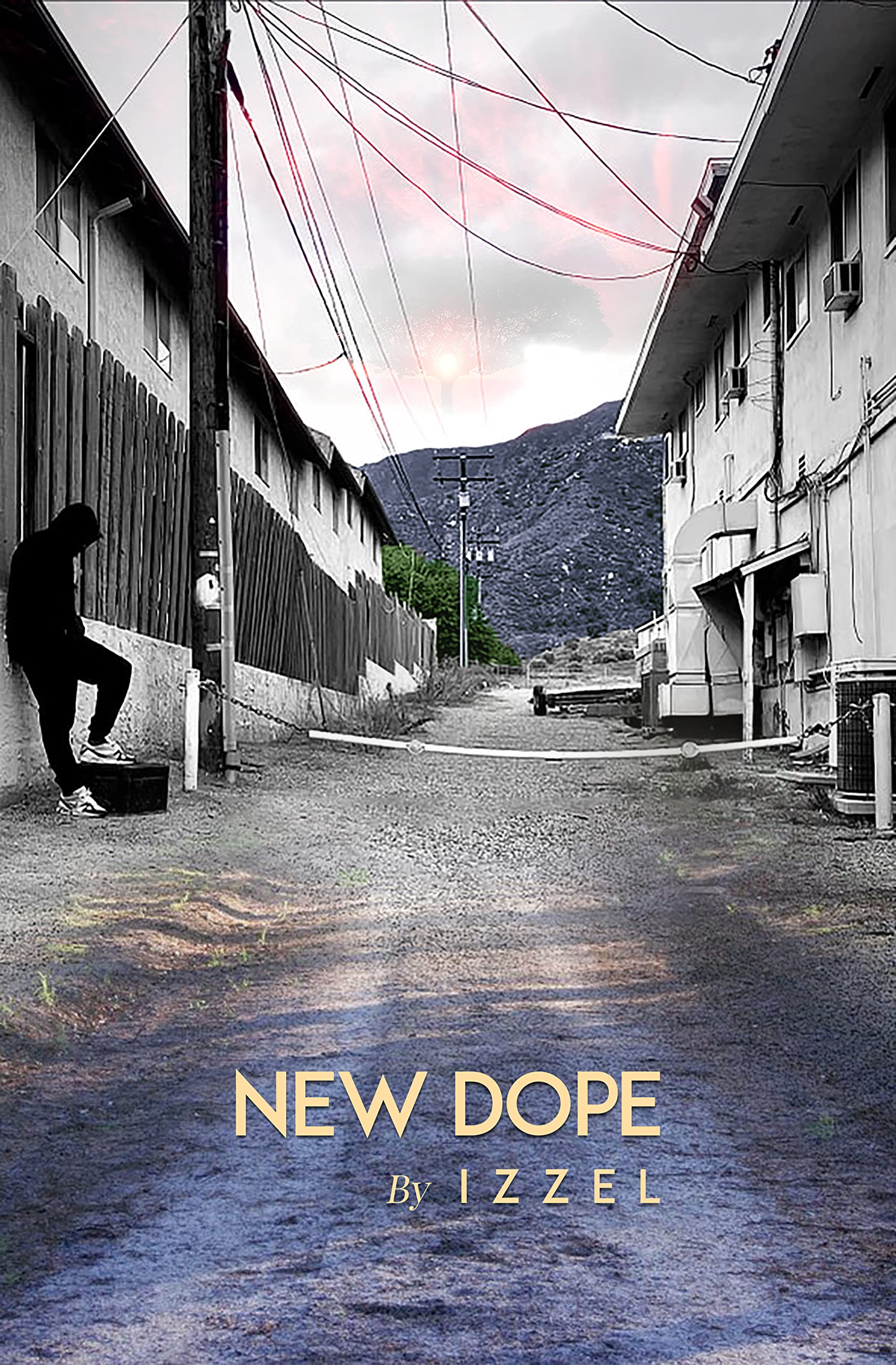 NEW DOPE: A HUSTLERS JOURNAL by IZZEL | Goodreads
