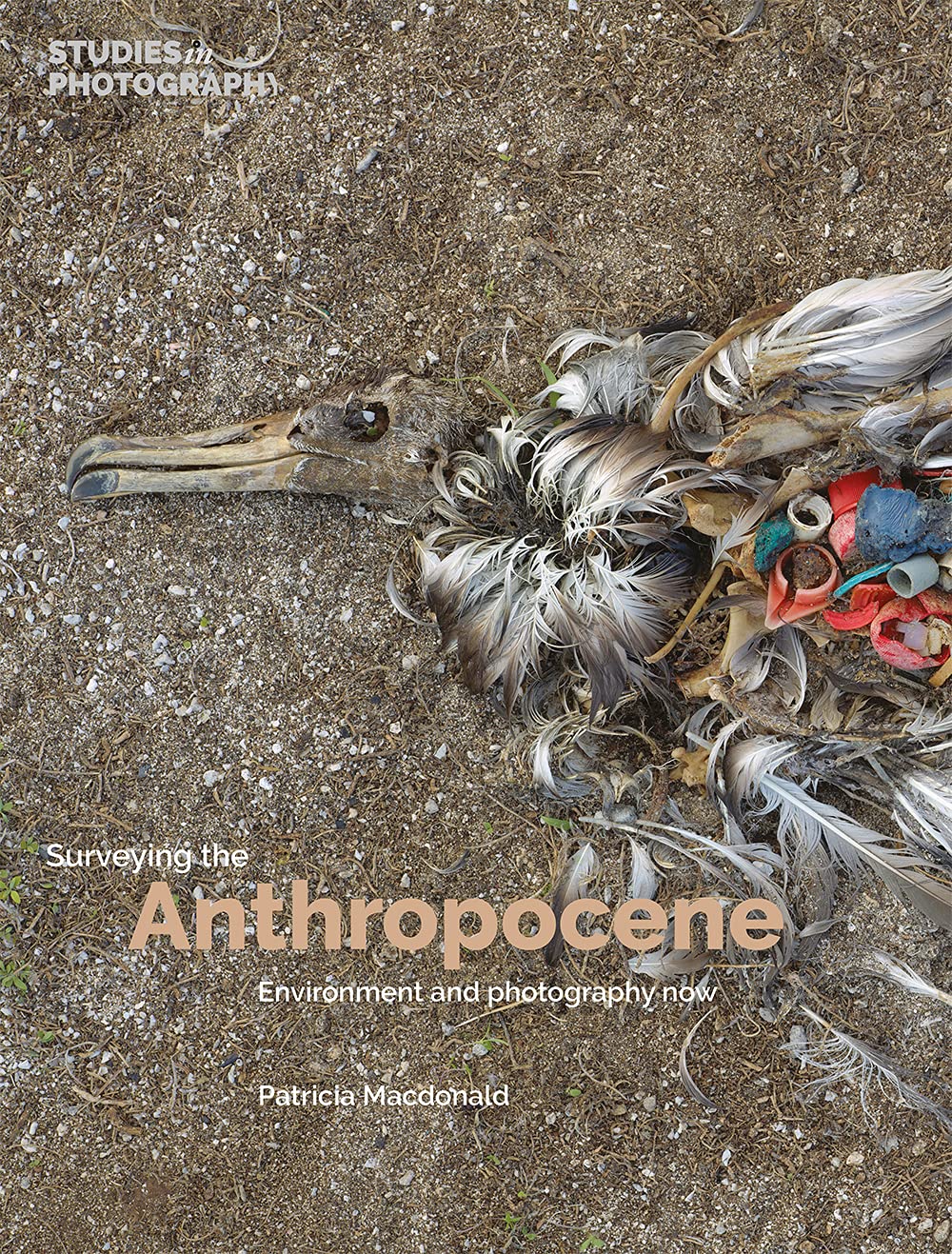 Surveying the Anthropocene: Environment and Photography Now by Patricia ...