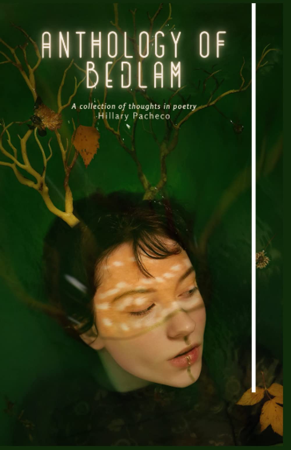 Anthology of Bedlam: A collection of thoughts in poetry by Hillary ...