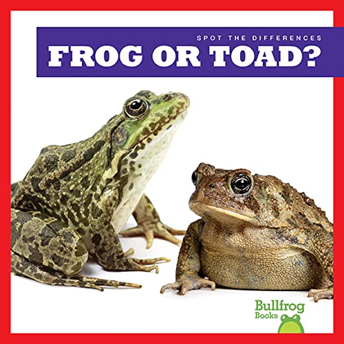 Frog or Toad? (Bullfrog Books: Spot the Differences) by Jamie Rice ...