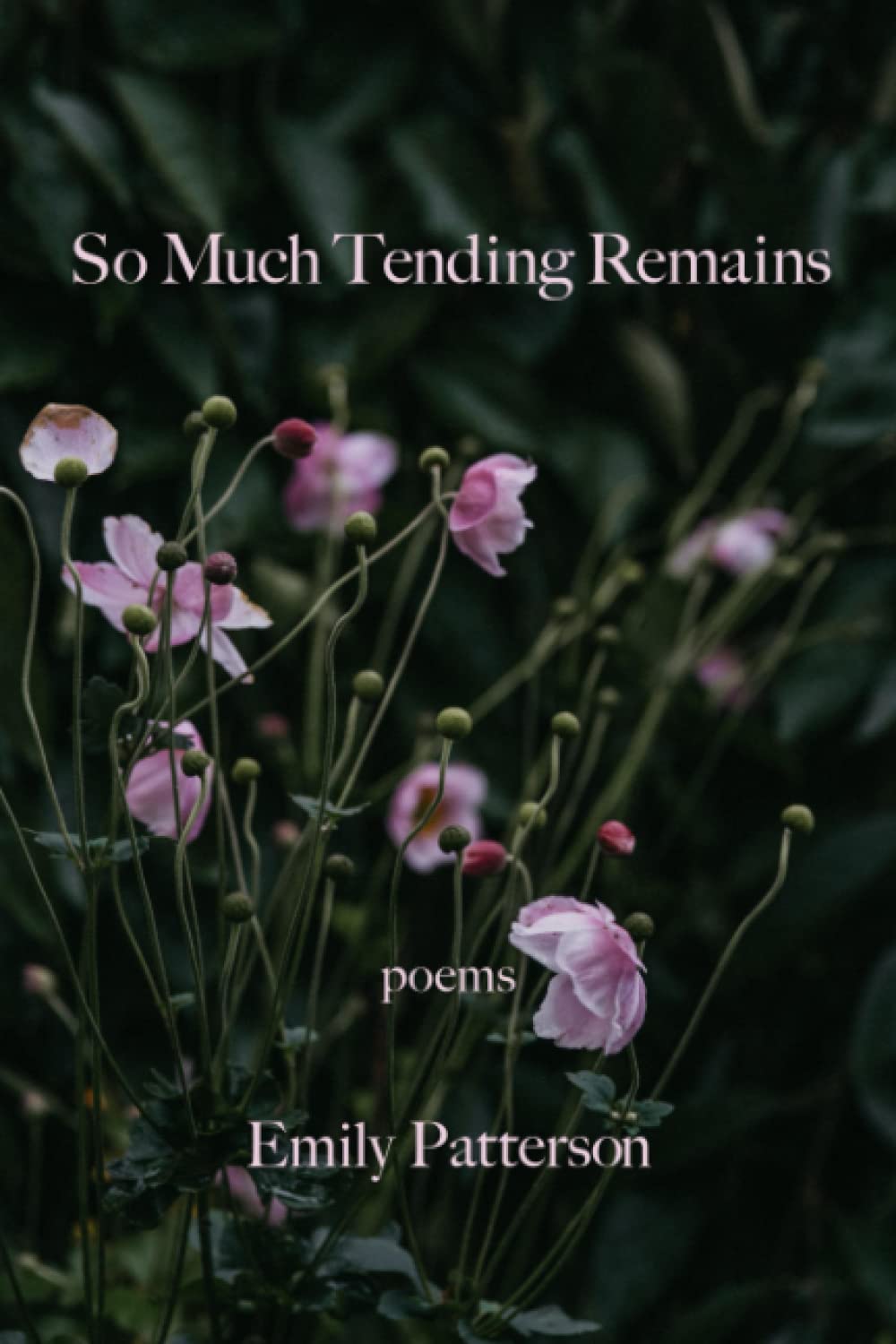 So Much Tending Remains by Emily Patterson | Goodreads