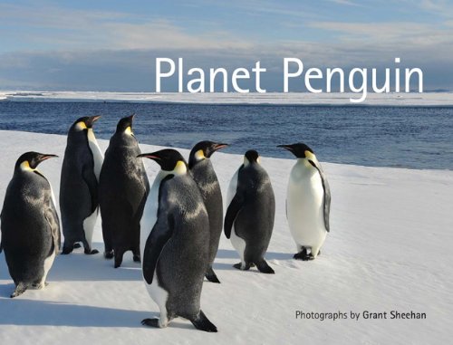 Planet Penguin: A (Mostly) Black And White Book by Grant Sheehan ...