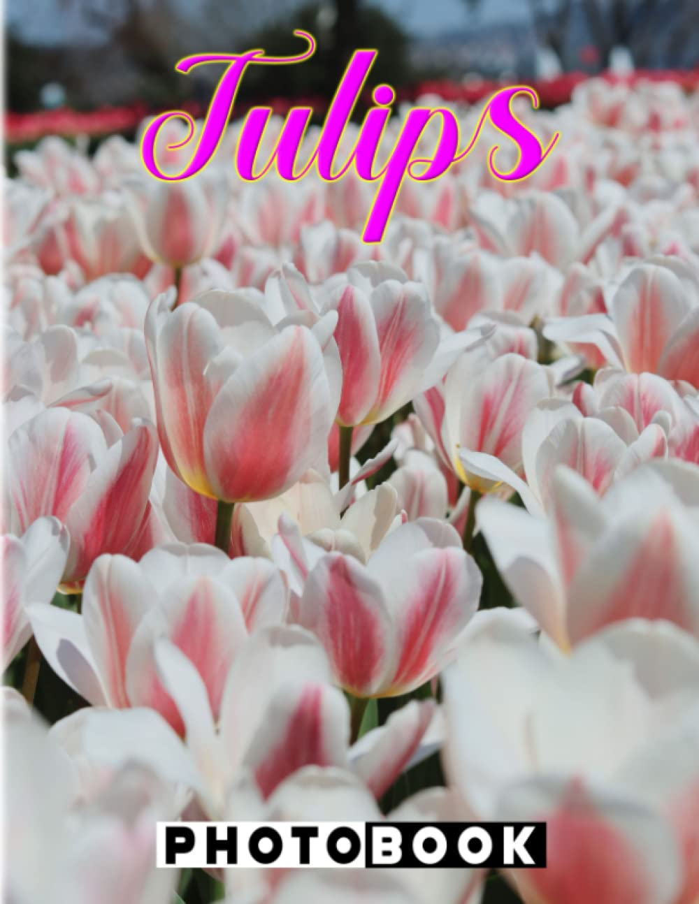 Tulips Photobook: Colorful Flower for Anyone to Love Decor as Gift ...