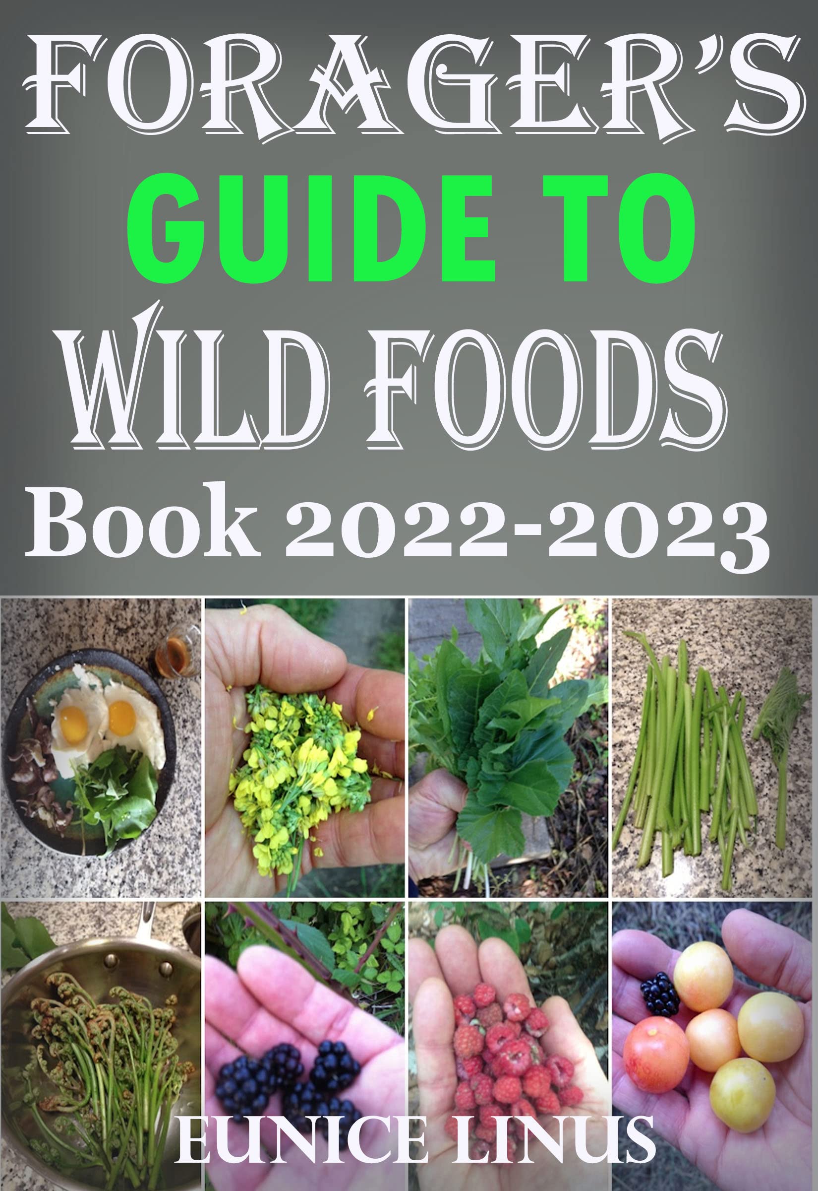 Foragers’ Guide to Wild Foods Book 2022-2023: The Newbie Foragers’ Book ...
