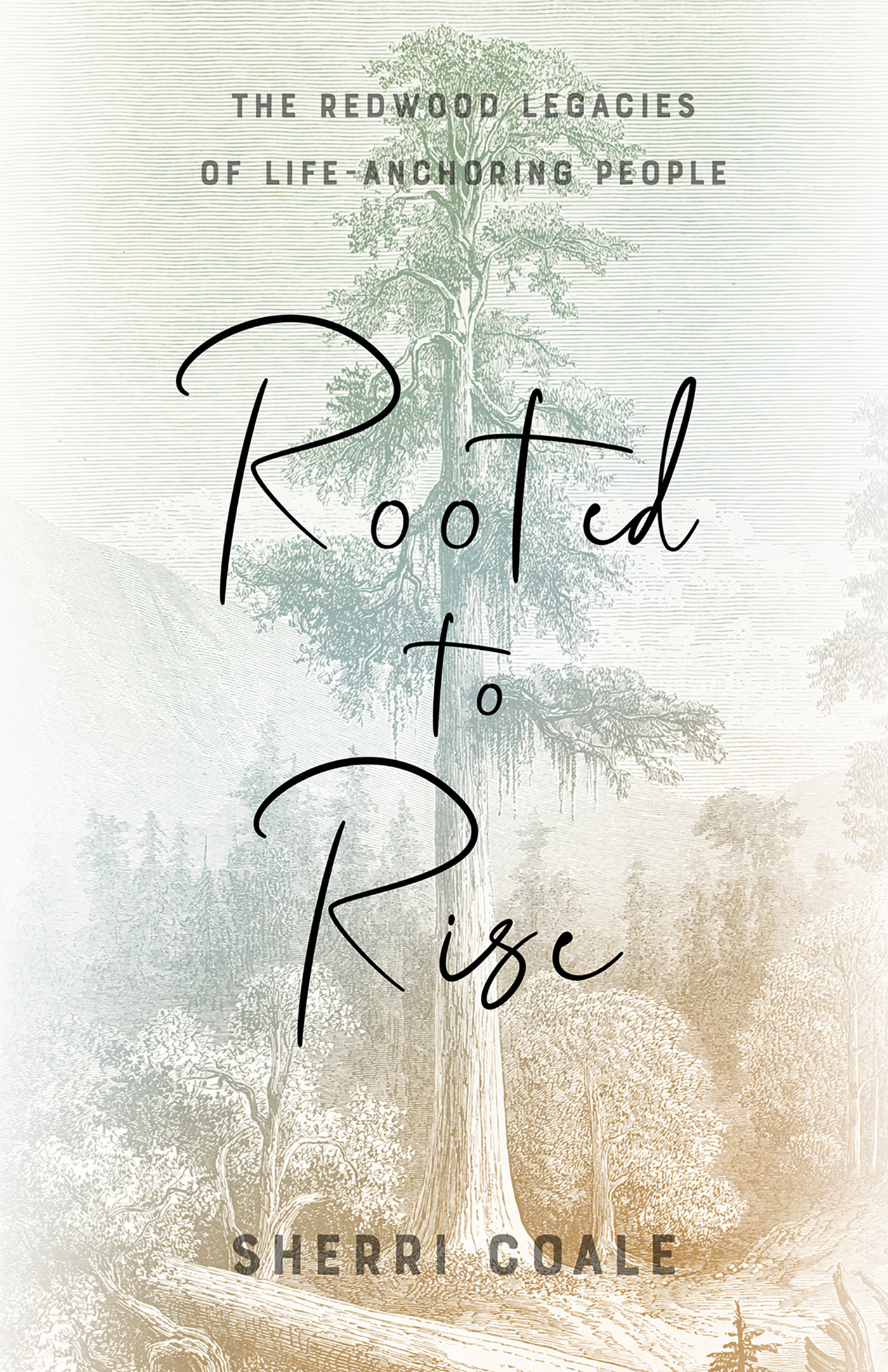 Rooted to Rise: The Redwood Legacies of Life-Anchoring People by Sherri ...
