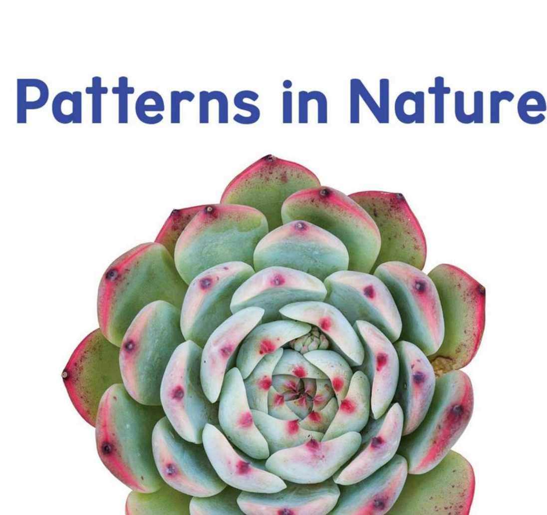 Patterns in Nature: Classic children's picture books by Nicholas Graham ...