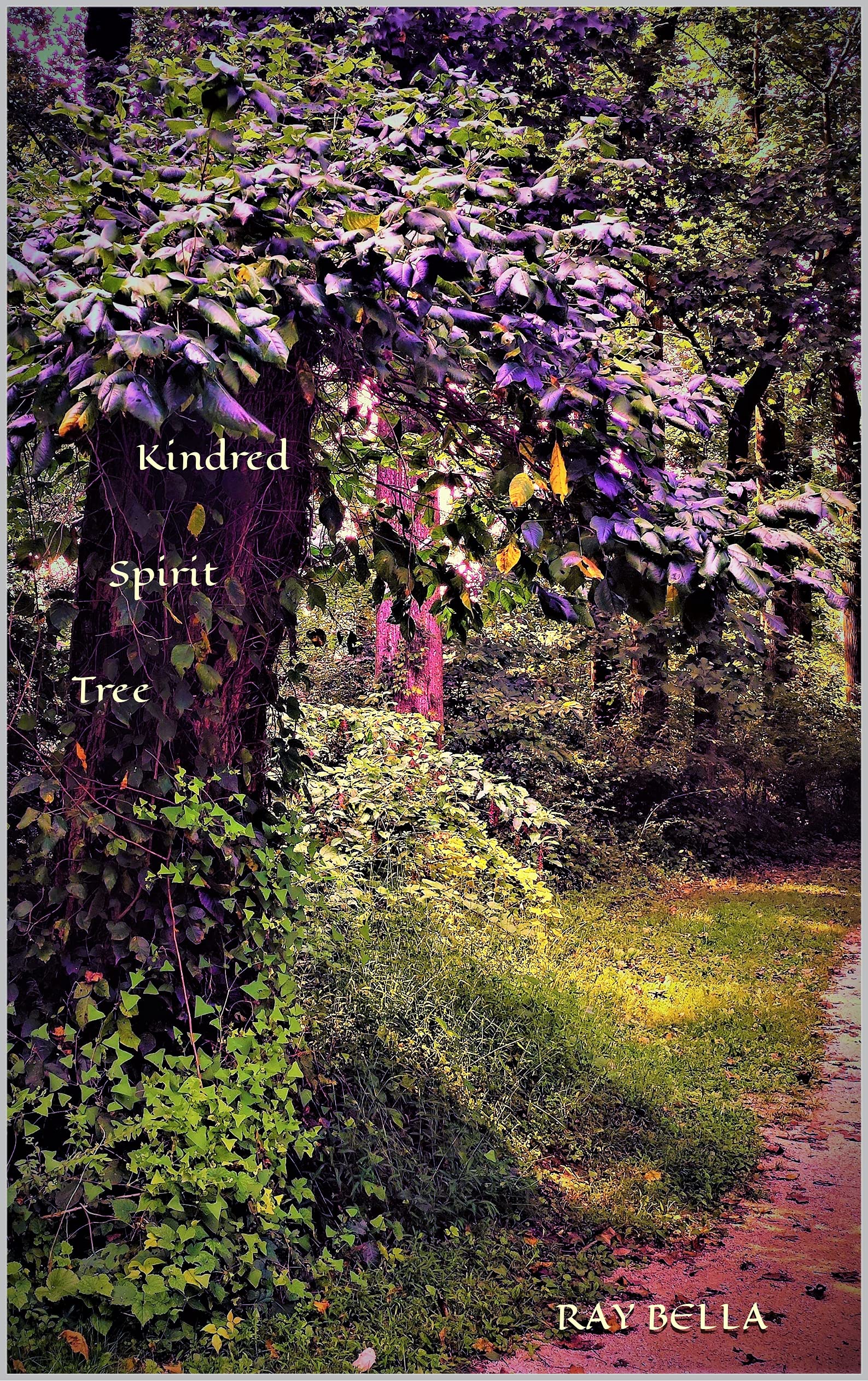 Kindred Spirit Tree: Only a fool can see by Ray Bella | Goodreads