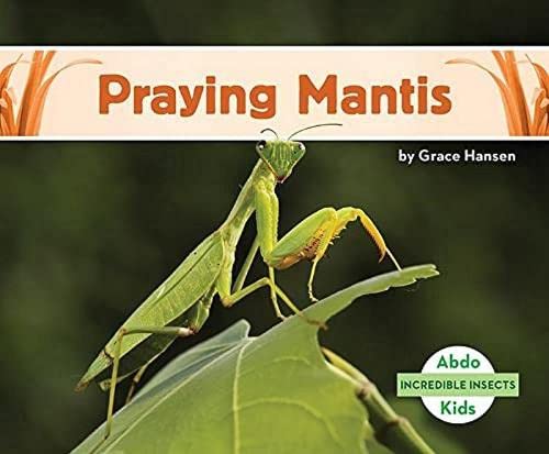 Praying Mantis (Incredible Insects) by Grace Hansen | Goodreads